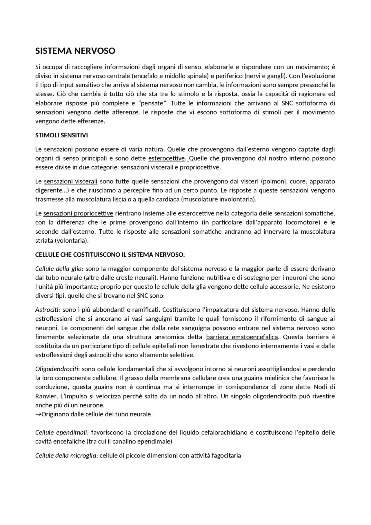 Appunti Sistema Nervoso Anatomia Comparata Docsity