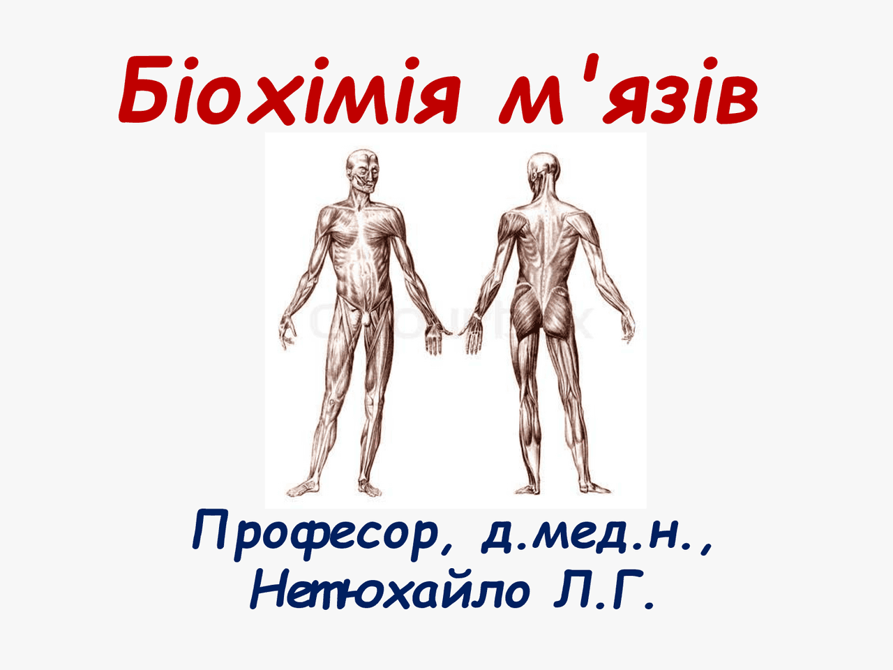 Биохимия мышц реакции Docsity