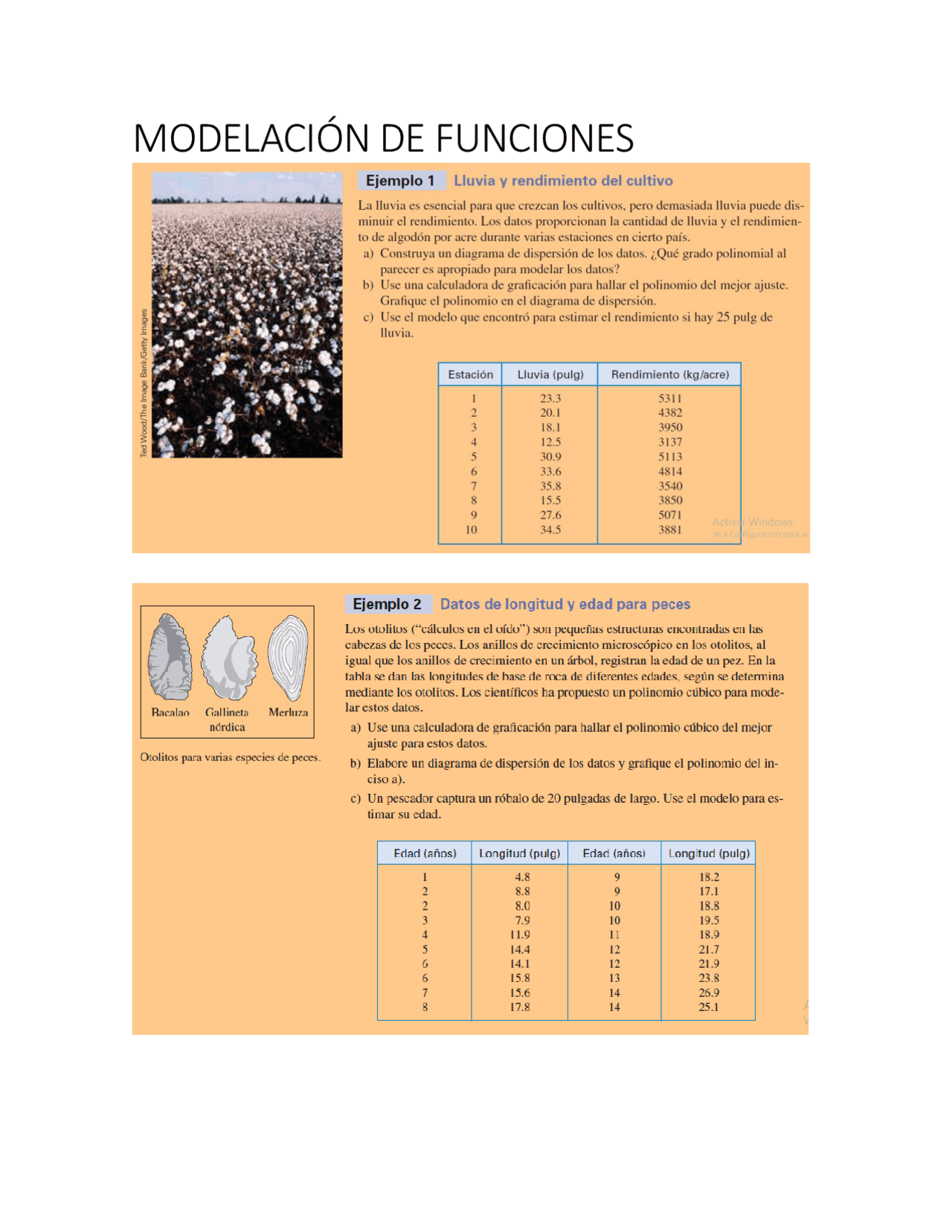 Ejercicios de modelación de funciones - Docsity