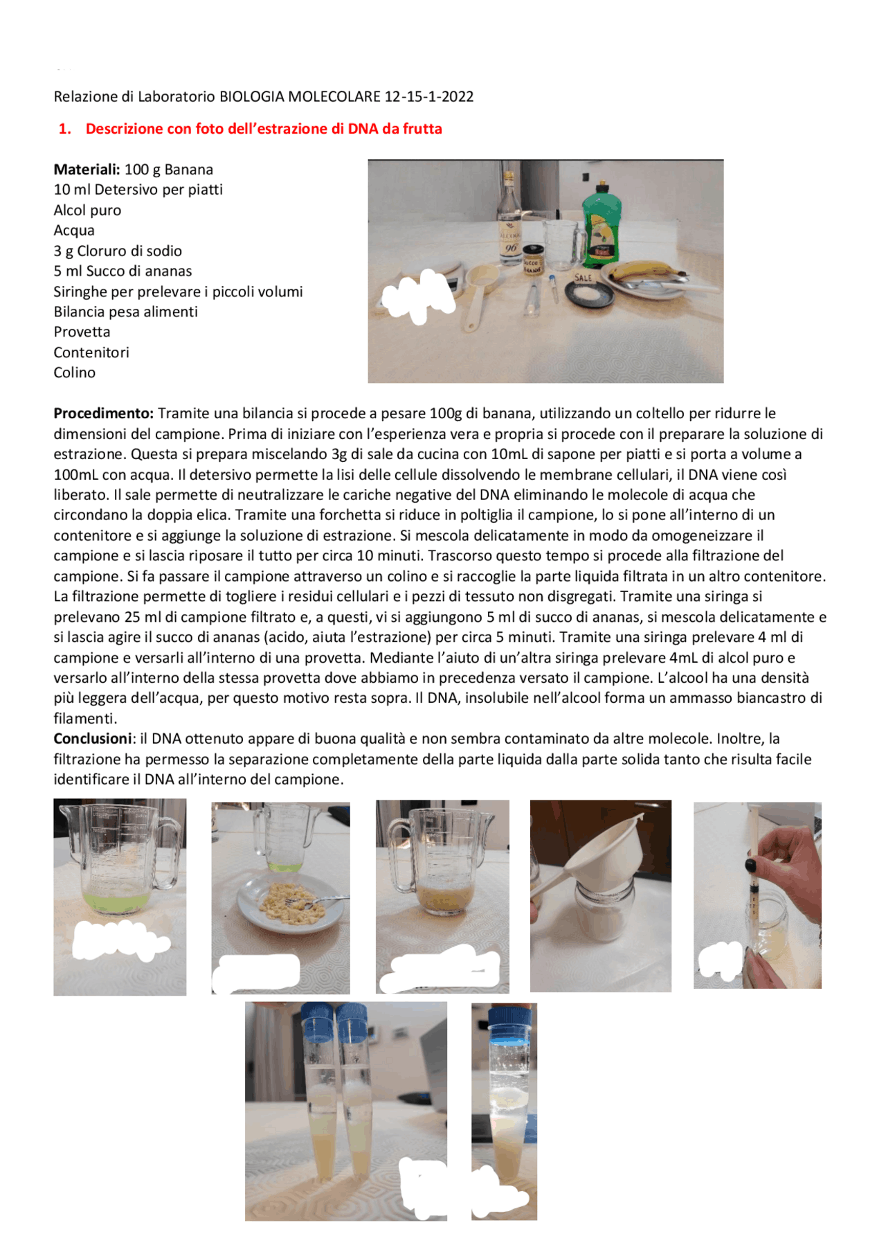 Relazione di laboratorio di Biologia Molecolare - Docsity