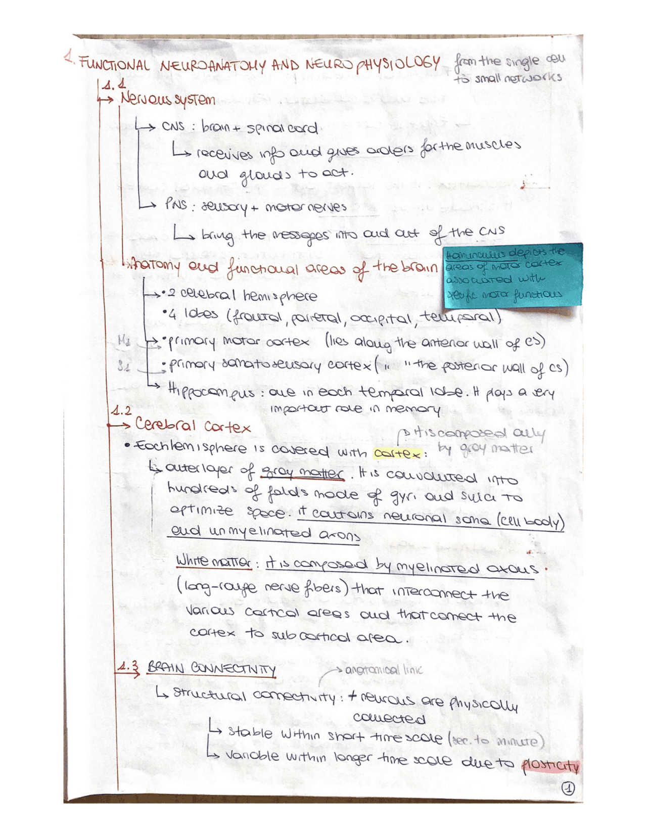 Schemi Riassuntivi Neuroingegneria Docsity