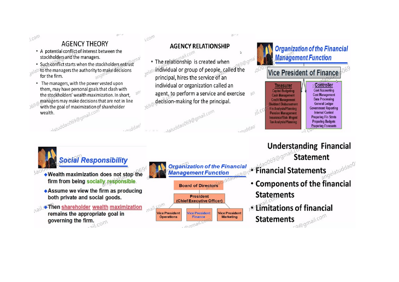 Fin-man Summary notes - Docsity
