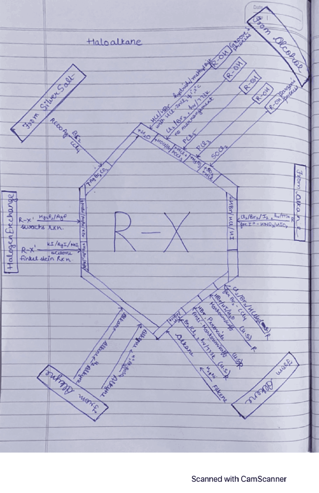 Best Summarising Notes Docsity