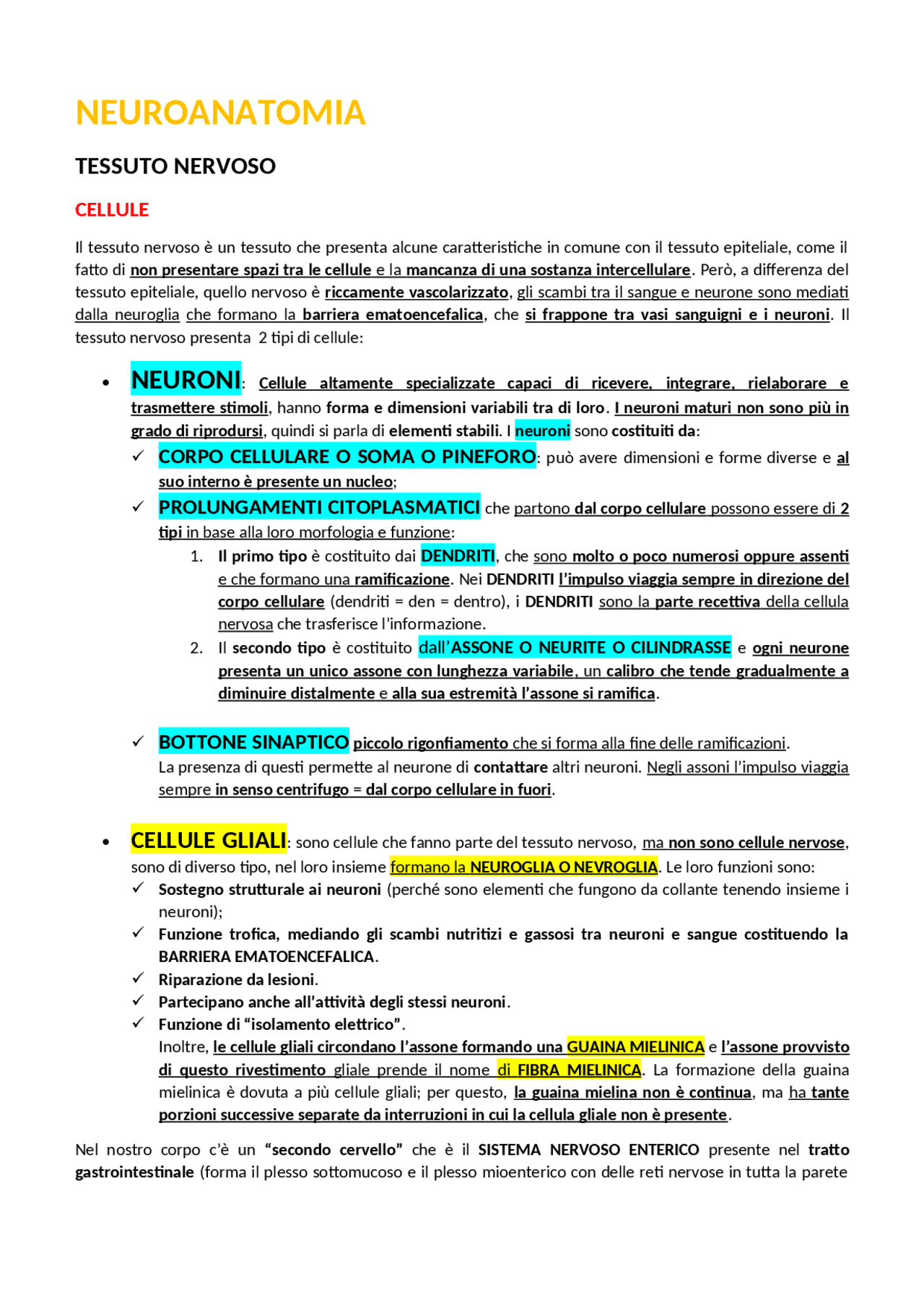 Parte 1 Neuroanatomia Appunti Di Anatomia Docsity