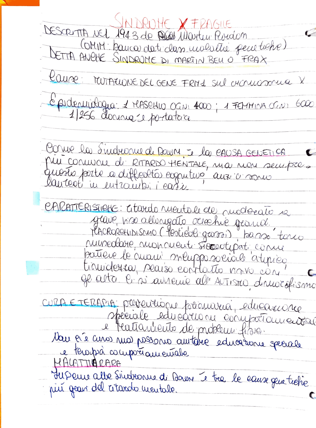 X Fragile Mappa Concettuale Docsity