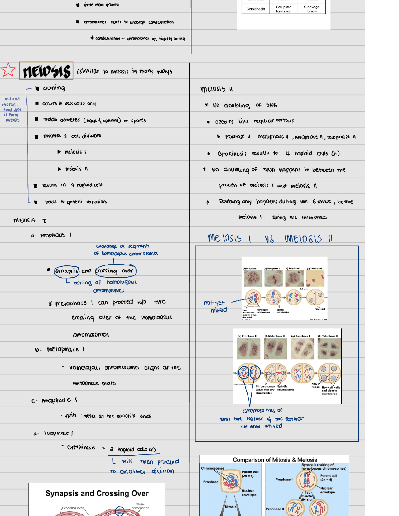 Introduction to Zoology - Docsity