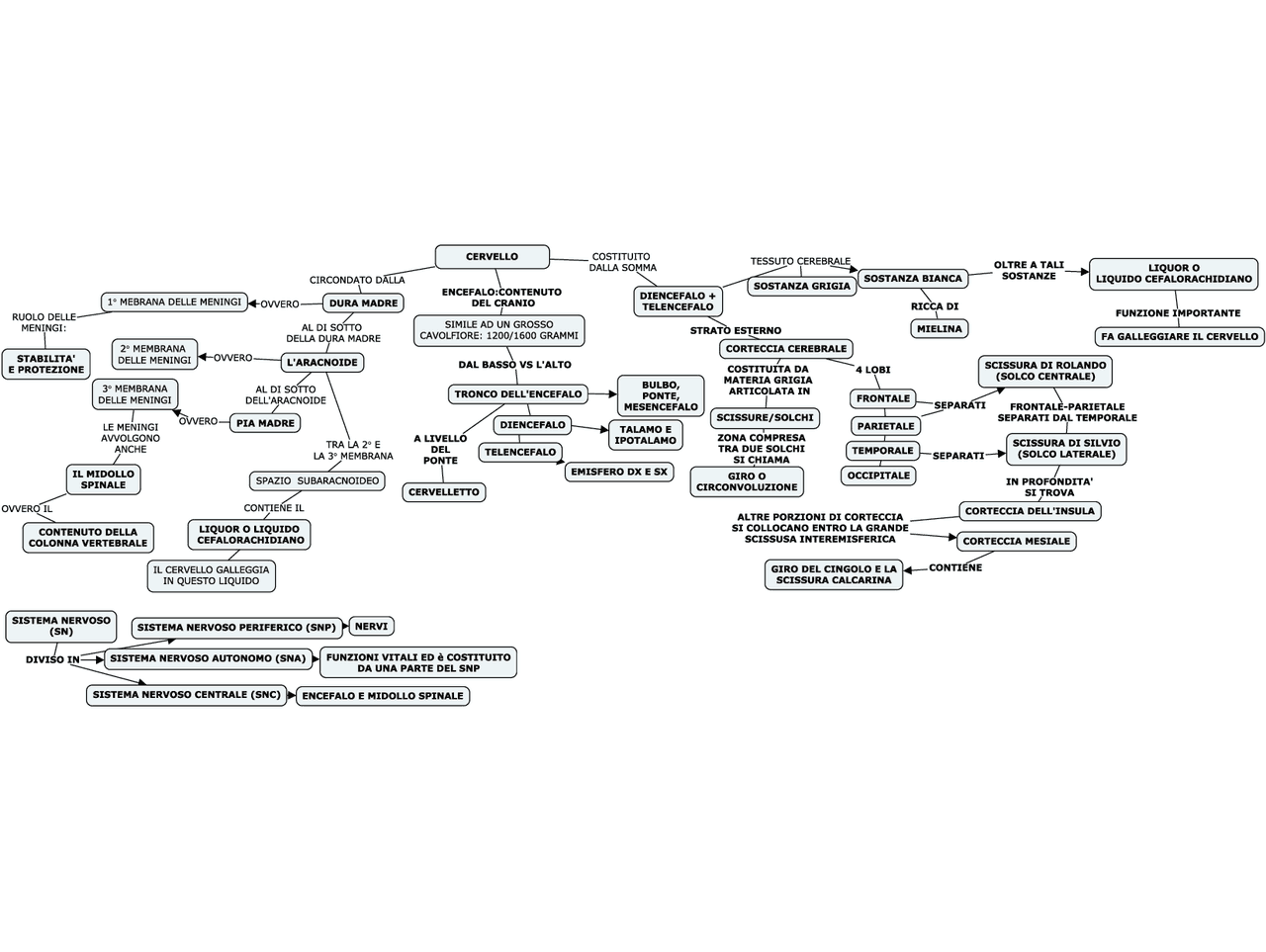 Mappa del cervello schematizzato - Docsity