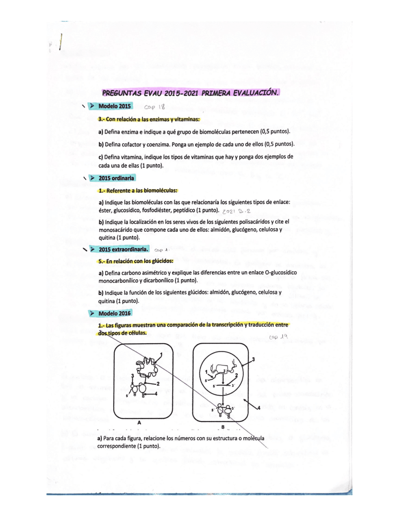 Apuntes Biología Evau Docsity