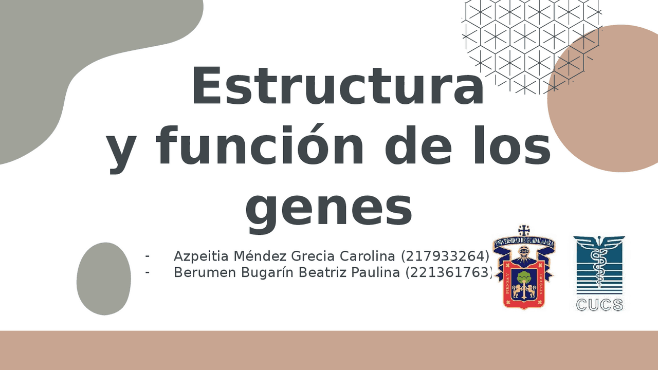 Estructura y función de los genes - Docsity