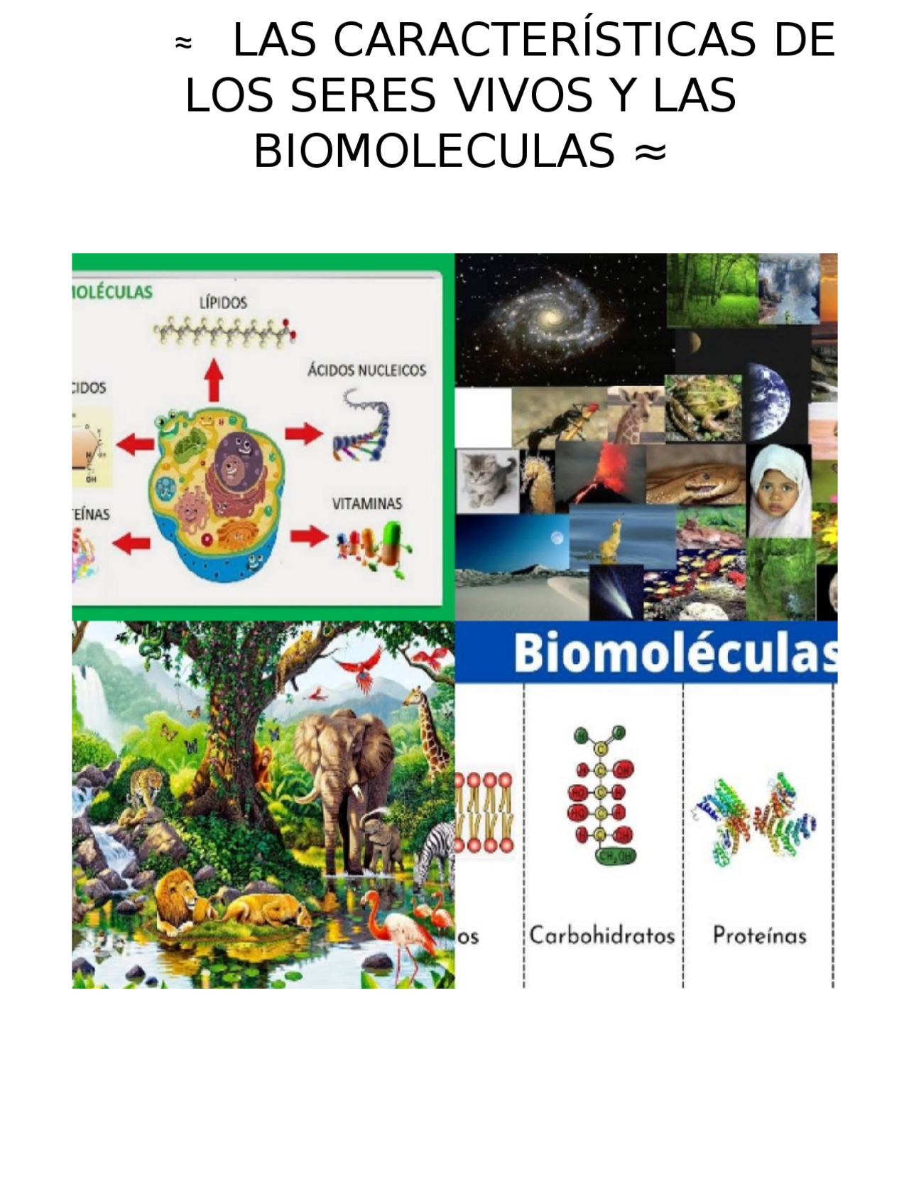 Revista De Las Bacterias De Biología Docsity