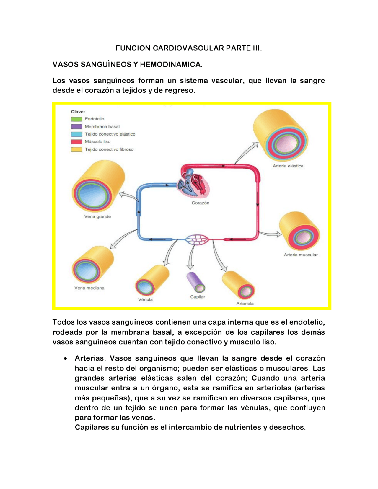 FUNCION CARDIOVASCULAR - Docsity