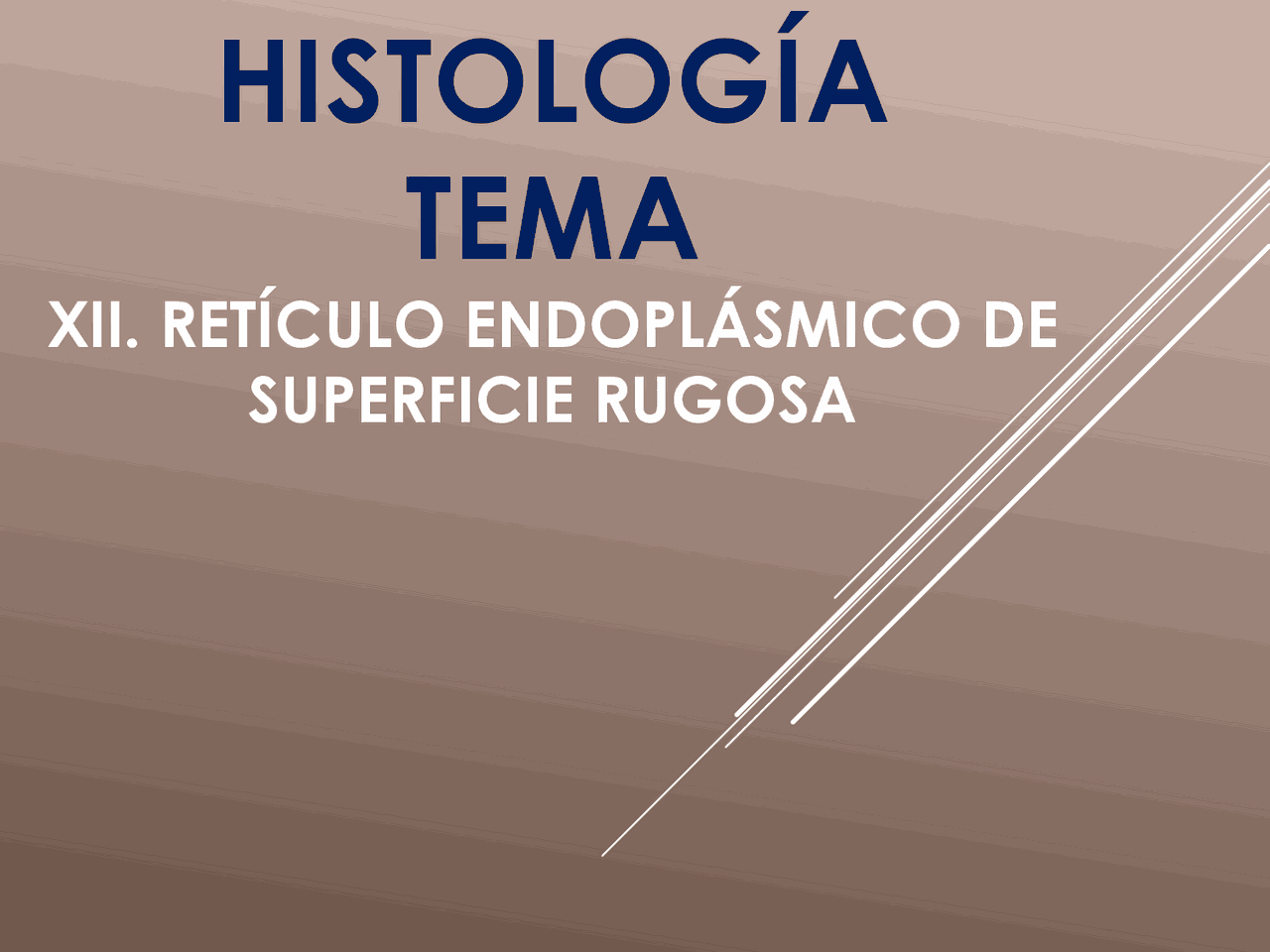Histología General En Base A Odontología Diapositivas De Histología