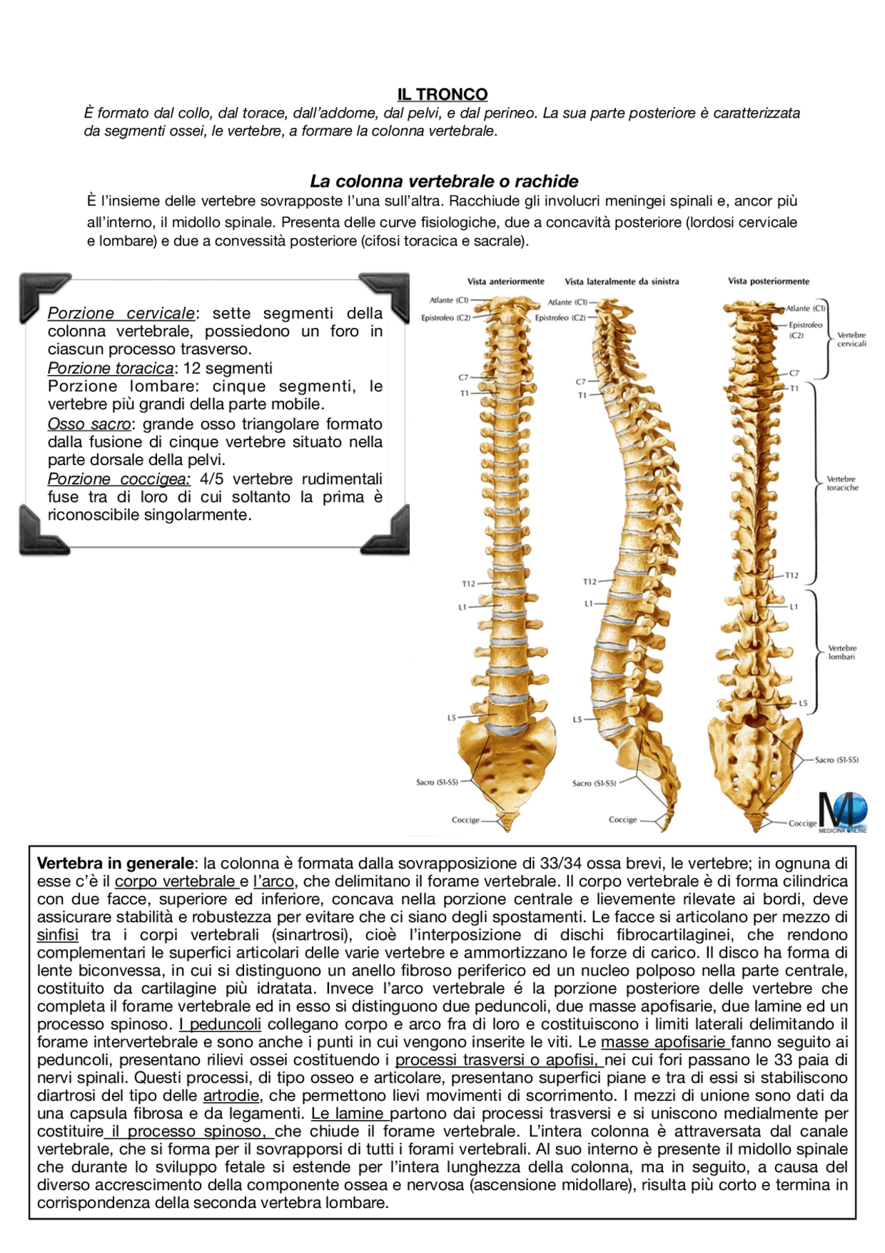 Riassunti Di Anatomia Docsity