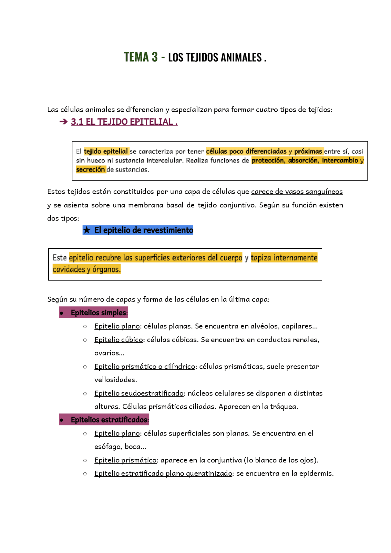 Tema 3 - tejidos animales - Docsity