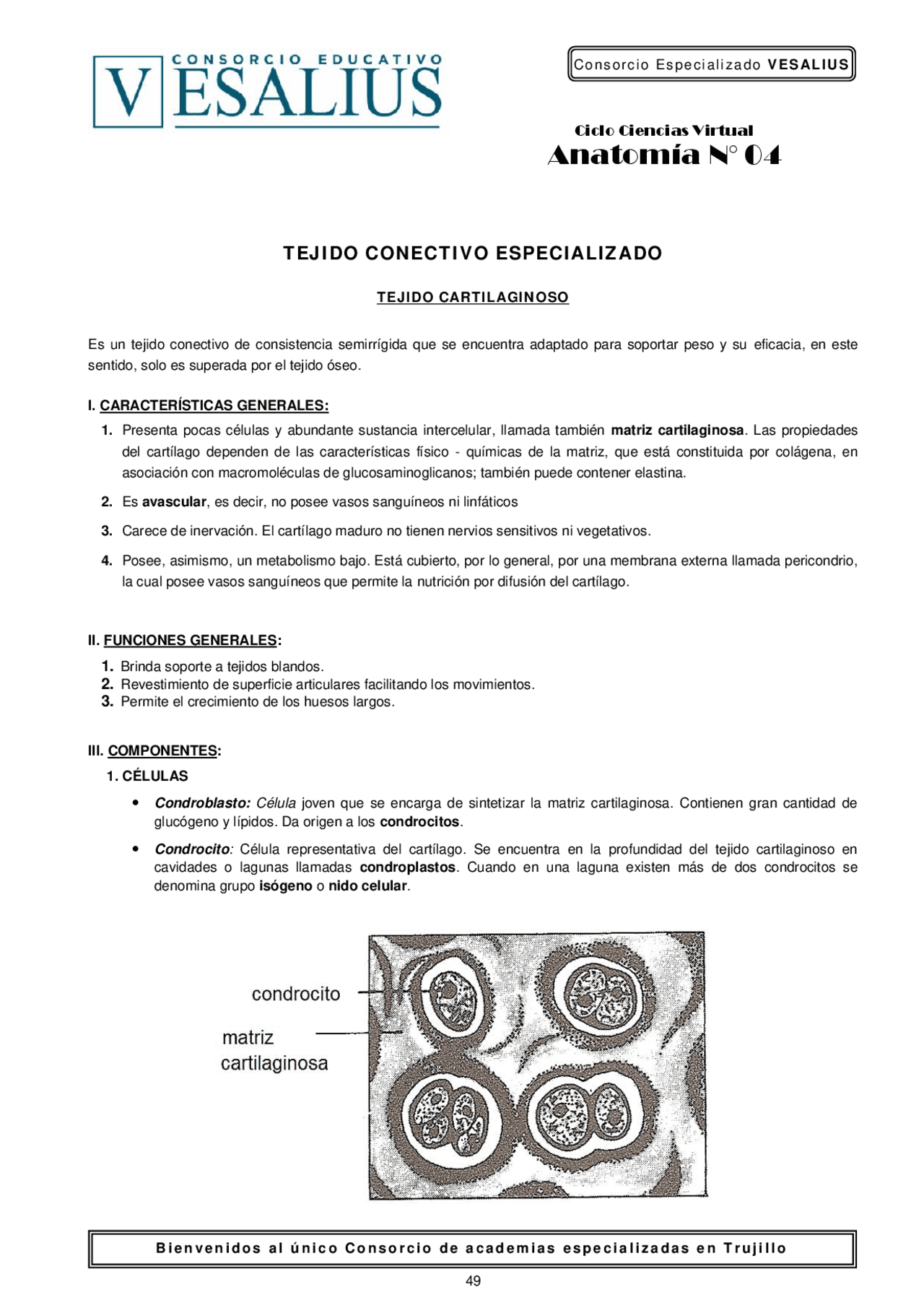 Anatomía Aplicadaaaaaa Docsity