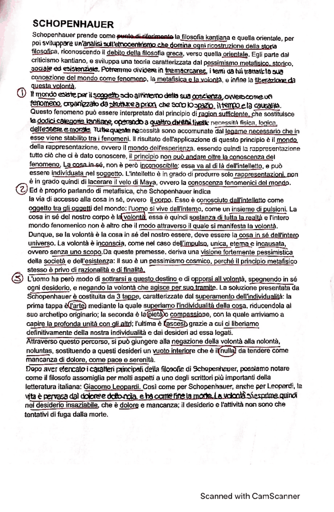 Sintesi Filosofia Di Schopenhauer Docsity