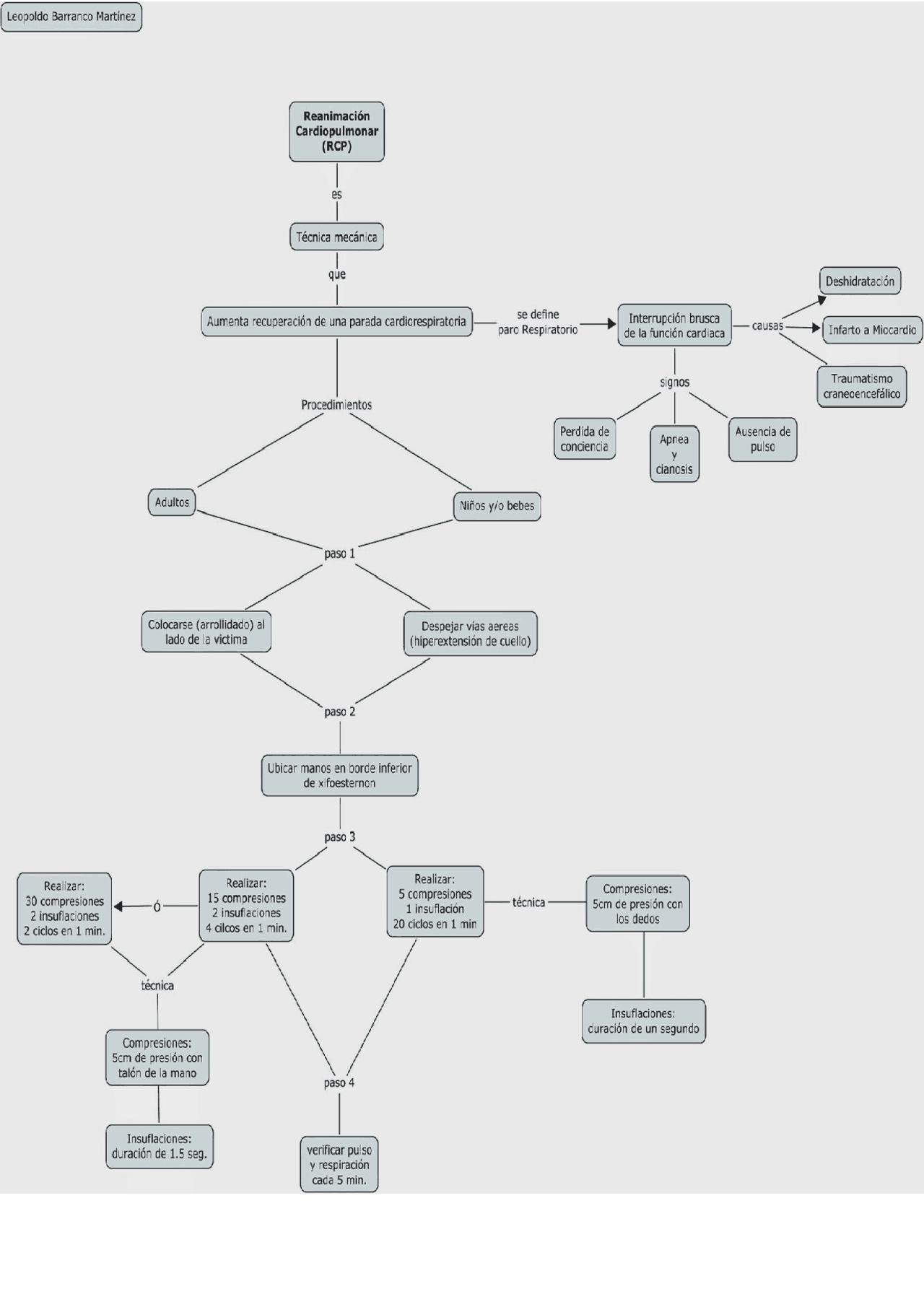 Mapa Conceptual De Reanimacion Cardiopulmonar Esquemas Y Mapas