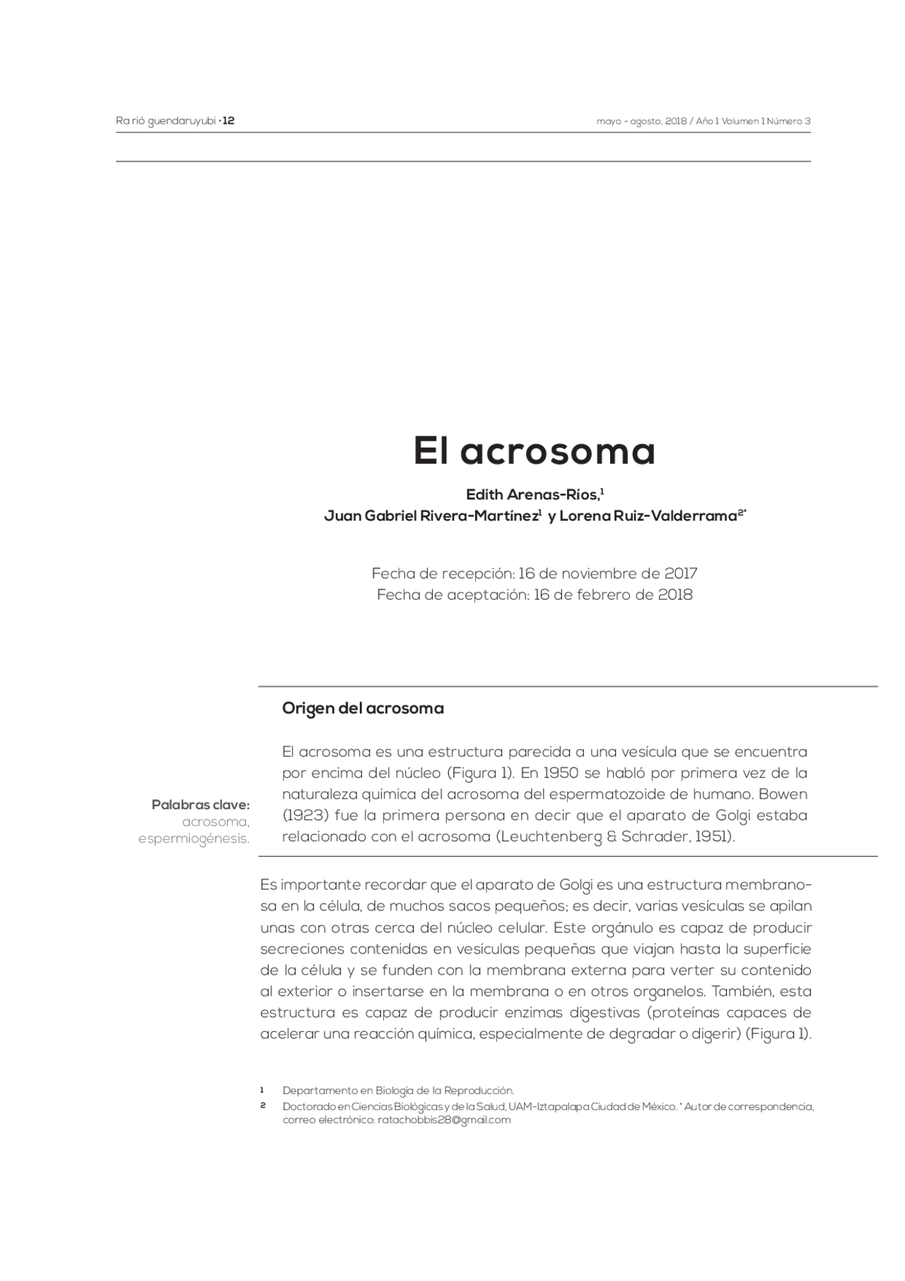 El Acrosoma: Estructura, Formación y Función | Resúmenes de Biología ...