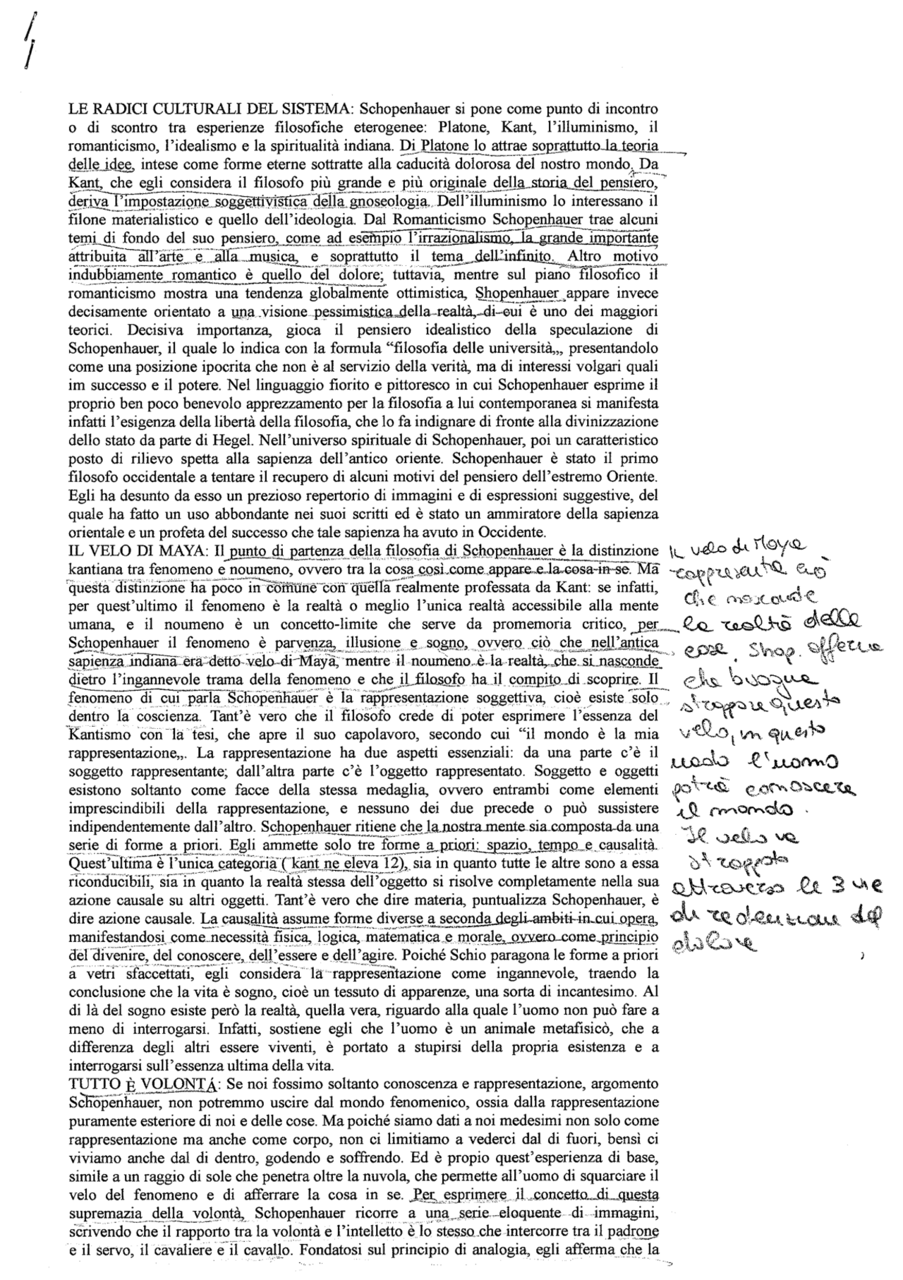 Riassunto Schopenhauer E La Sua Filosofia Docsity