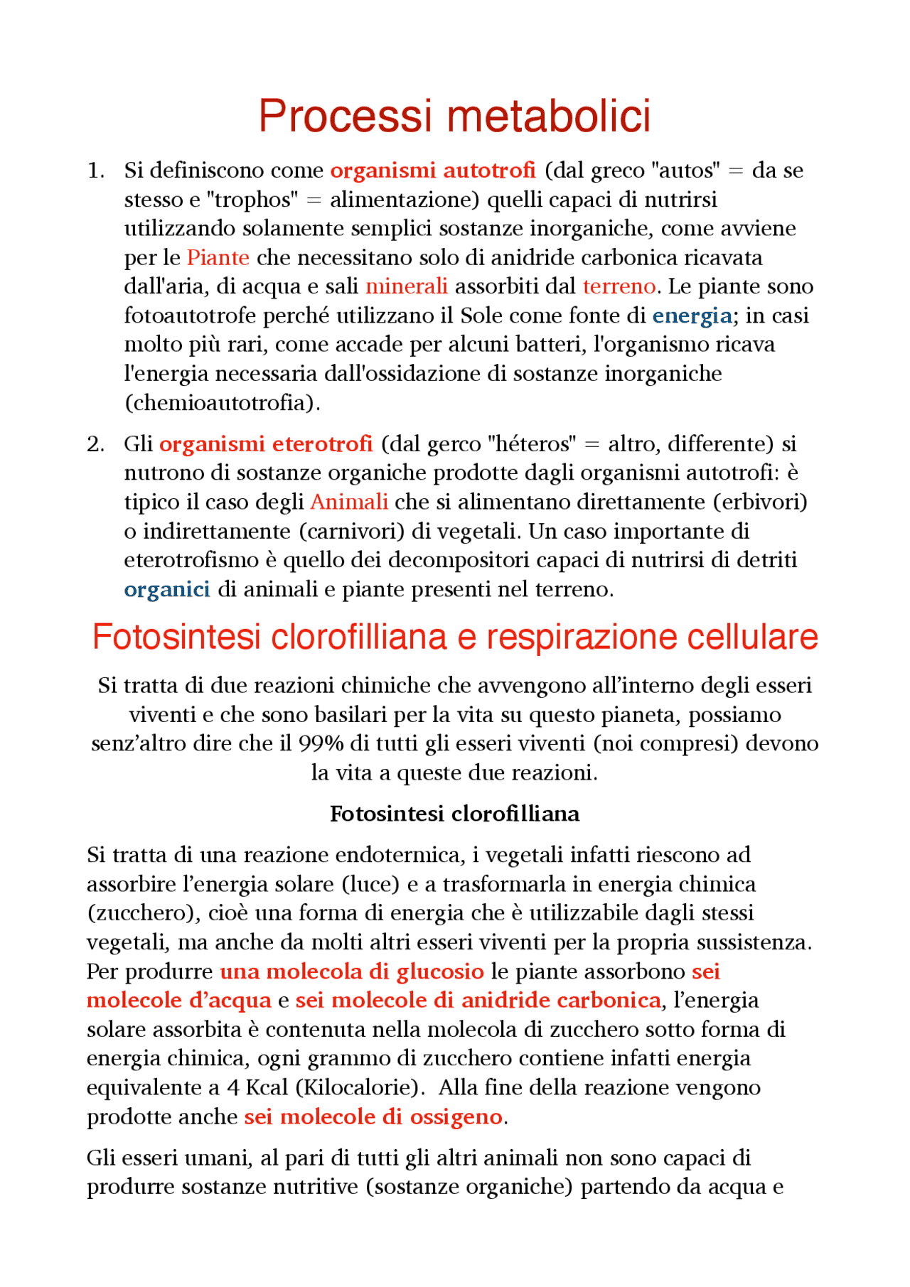 Metabolismo: Autotrofi, Eterotrofi, Fotosintesi e Respirazione ...
