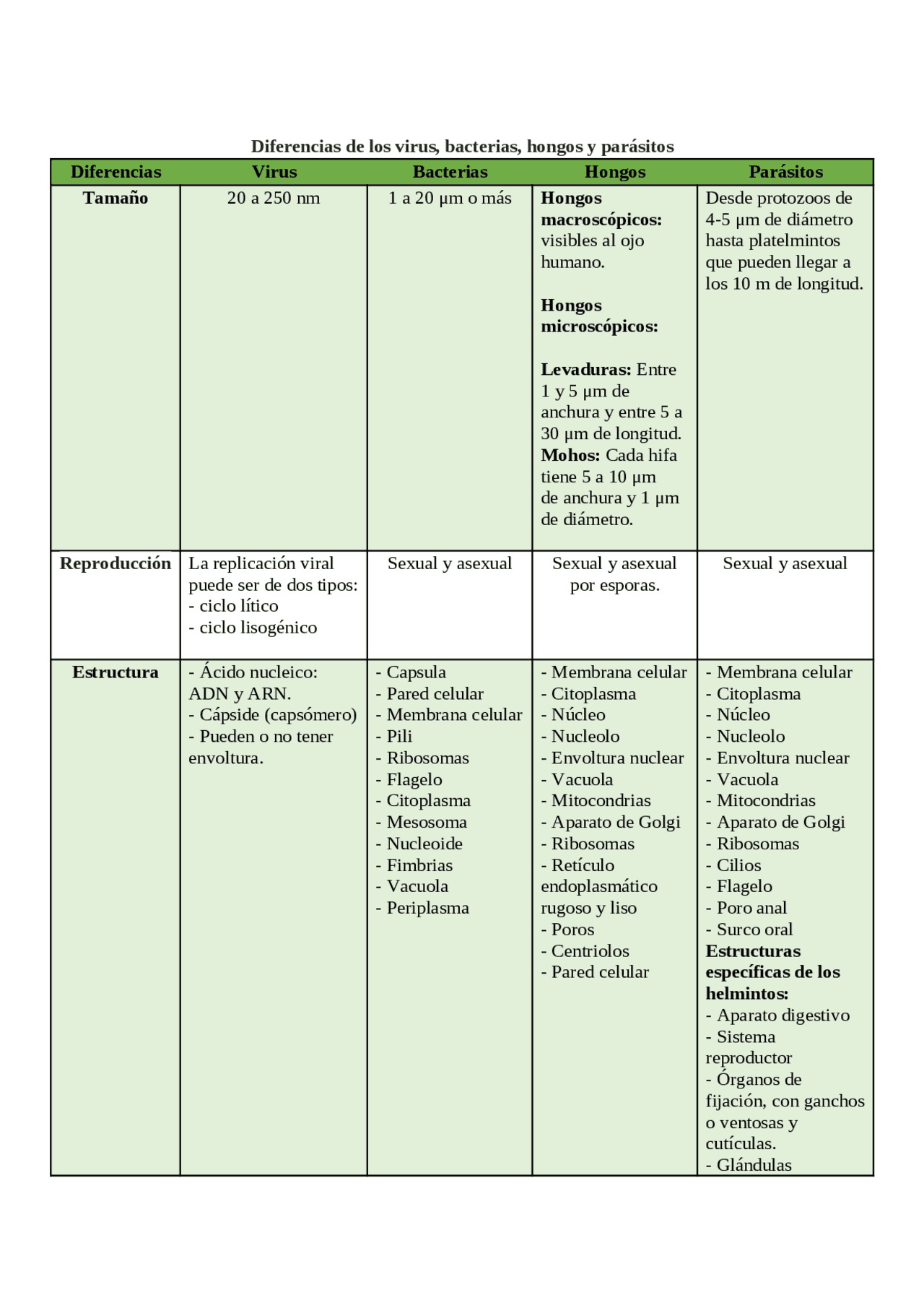 Diferencias Entre Virus Y Bacterias Cuadro Comparativo Parasitos Y