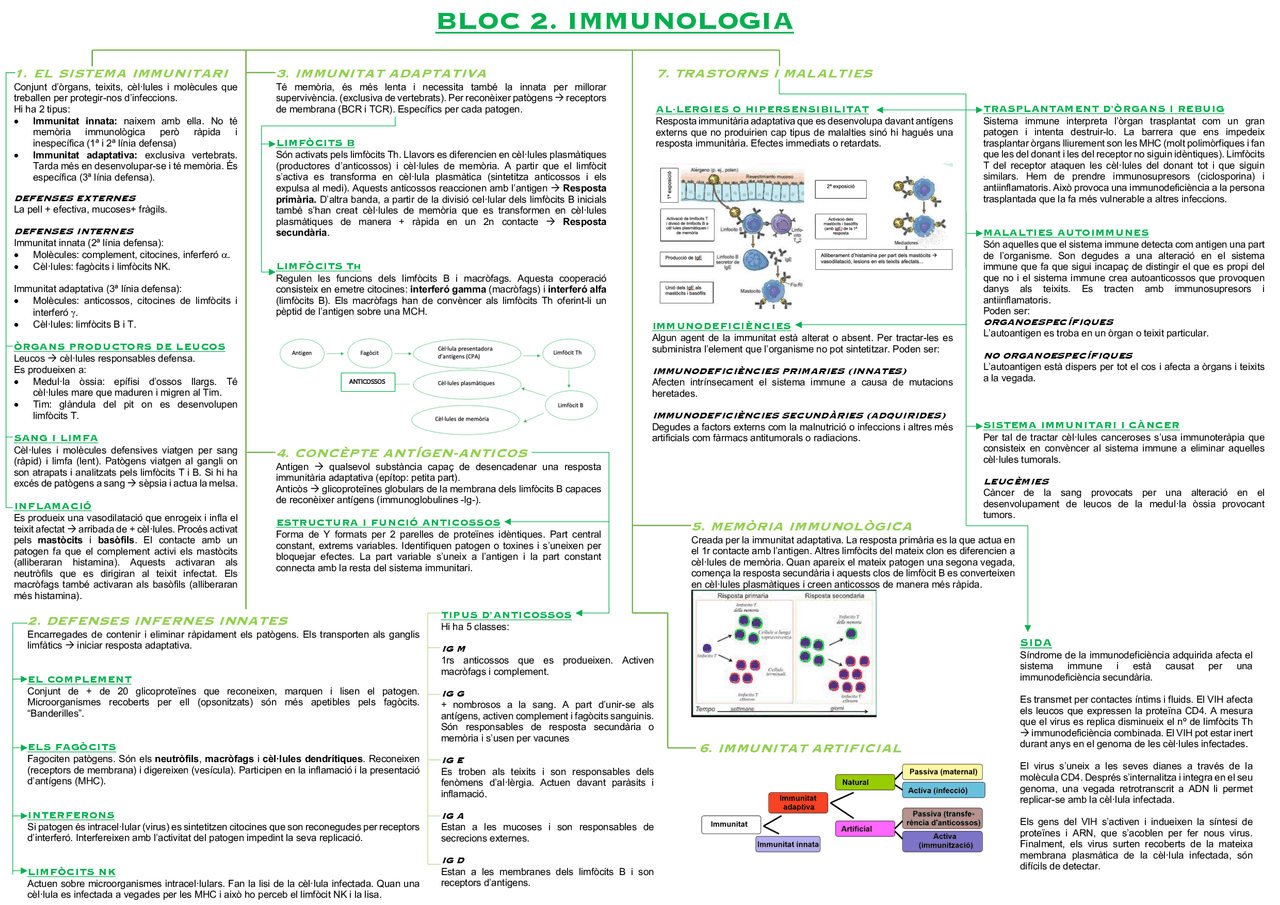 Esquema d'Immunologia - Docsity