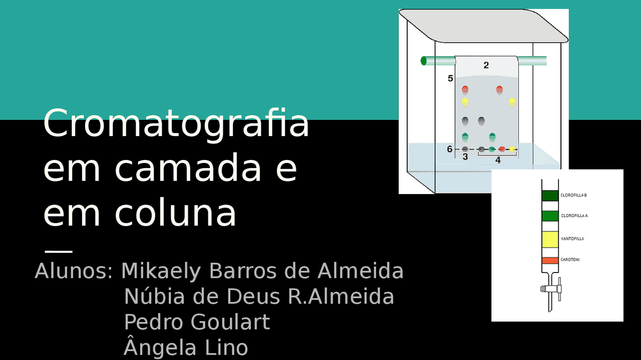 Cromatografia Em Camada Delgada E Em Coluna Slides Química Docsity