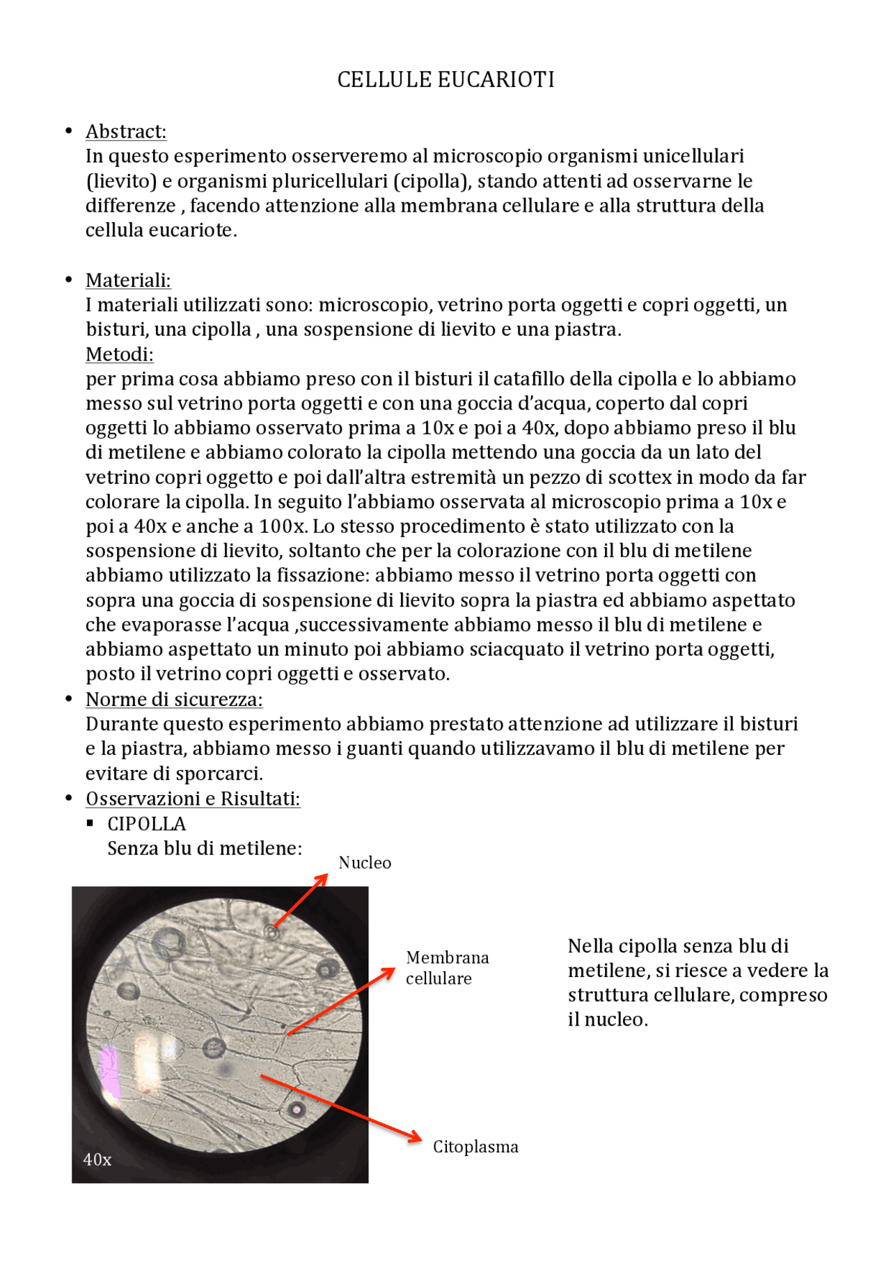 Cellule Eucariotiche Microscopio UNITÀ 2. All'interno Delle Cellule