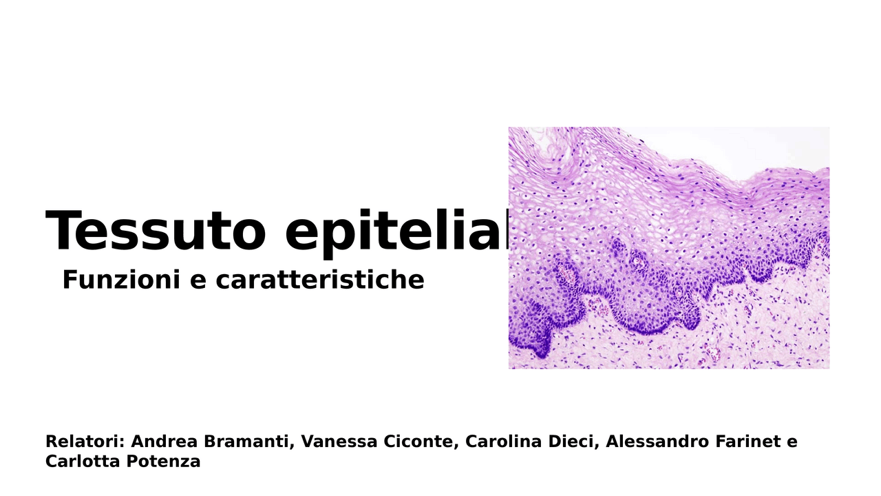 Power Point Tessuto Epiteliale Docsity