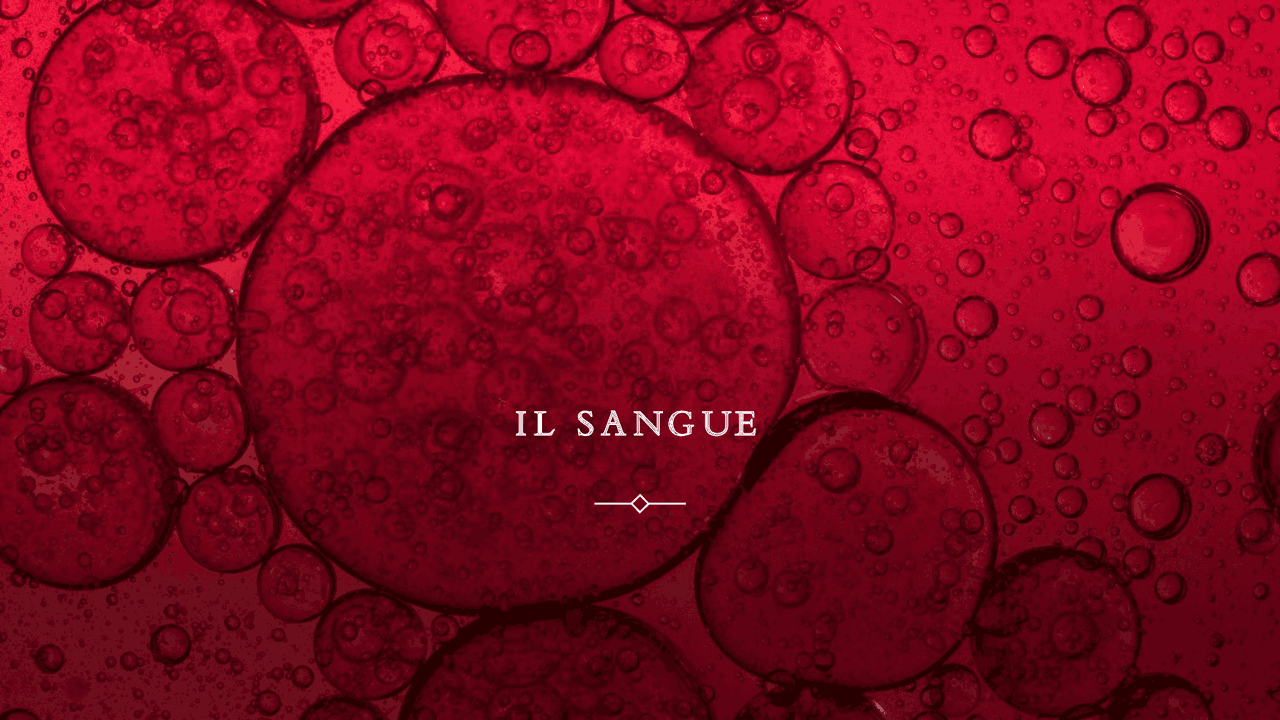 Il sangue SLIDE RIASSUNTIVE | Slide di Educazione fisica | Docsity