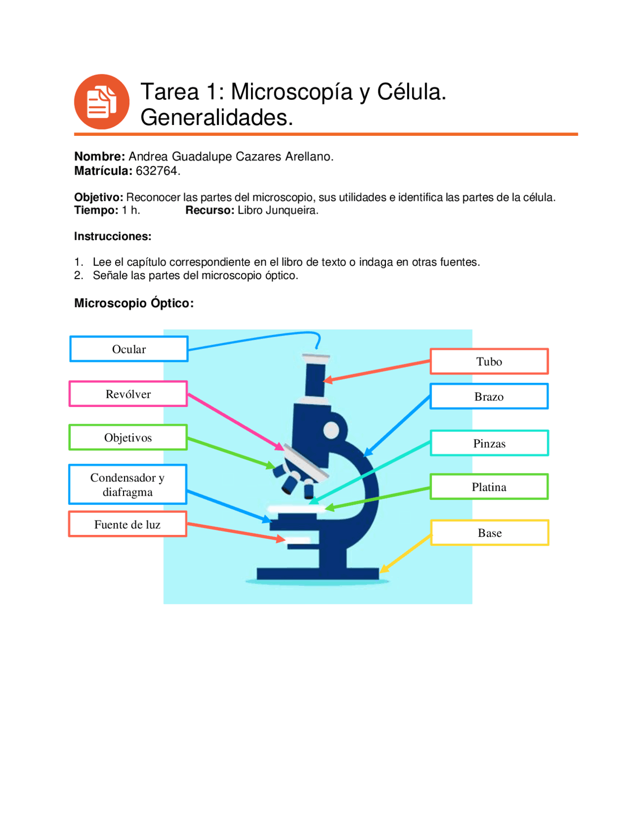 Ejercicios Online De EmbriologÍa Docsity