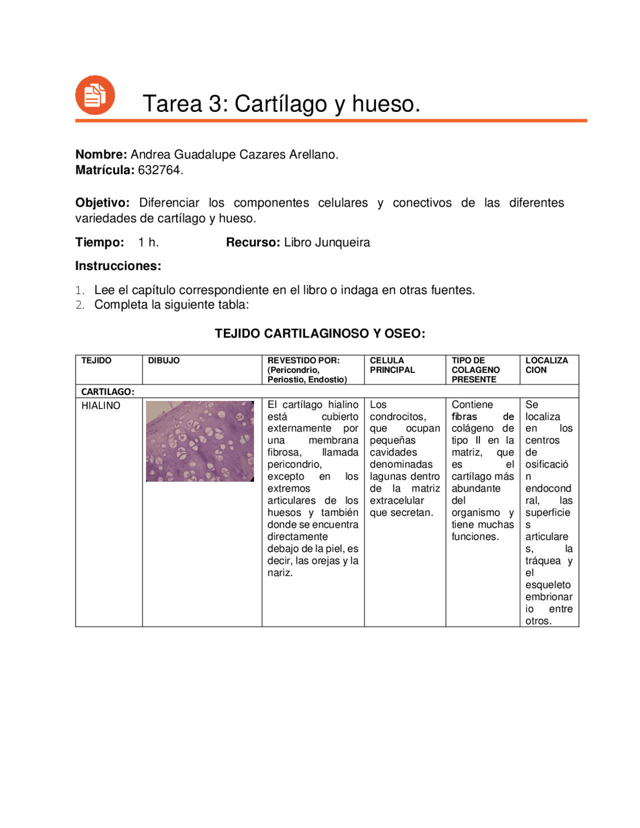 Ejercicios En Línea De Embriología Semestre 2021 Docsity