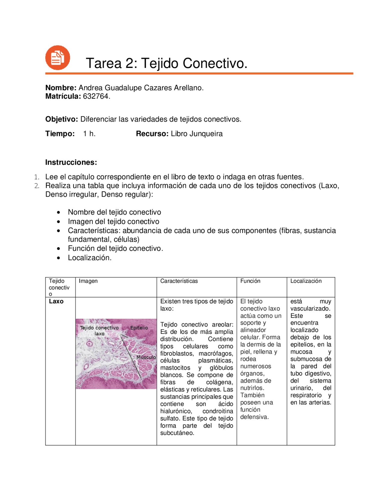 Ejercicios Online De EmbriologÍa Docsity