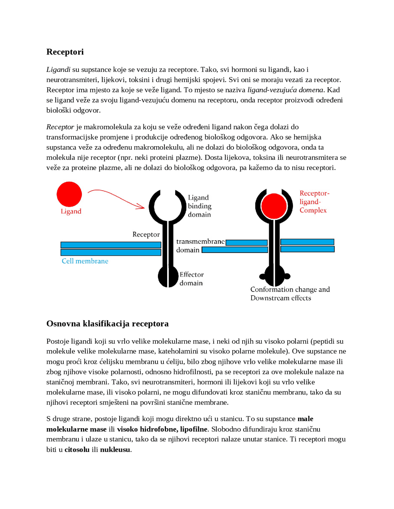Biohemija - Receptori i intracelularno signaliziranje | Beleške ...