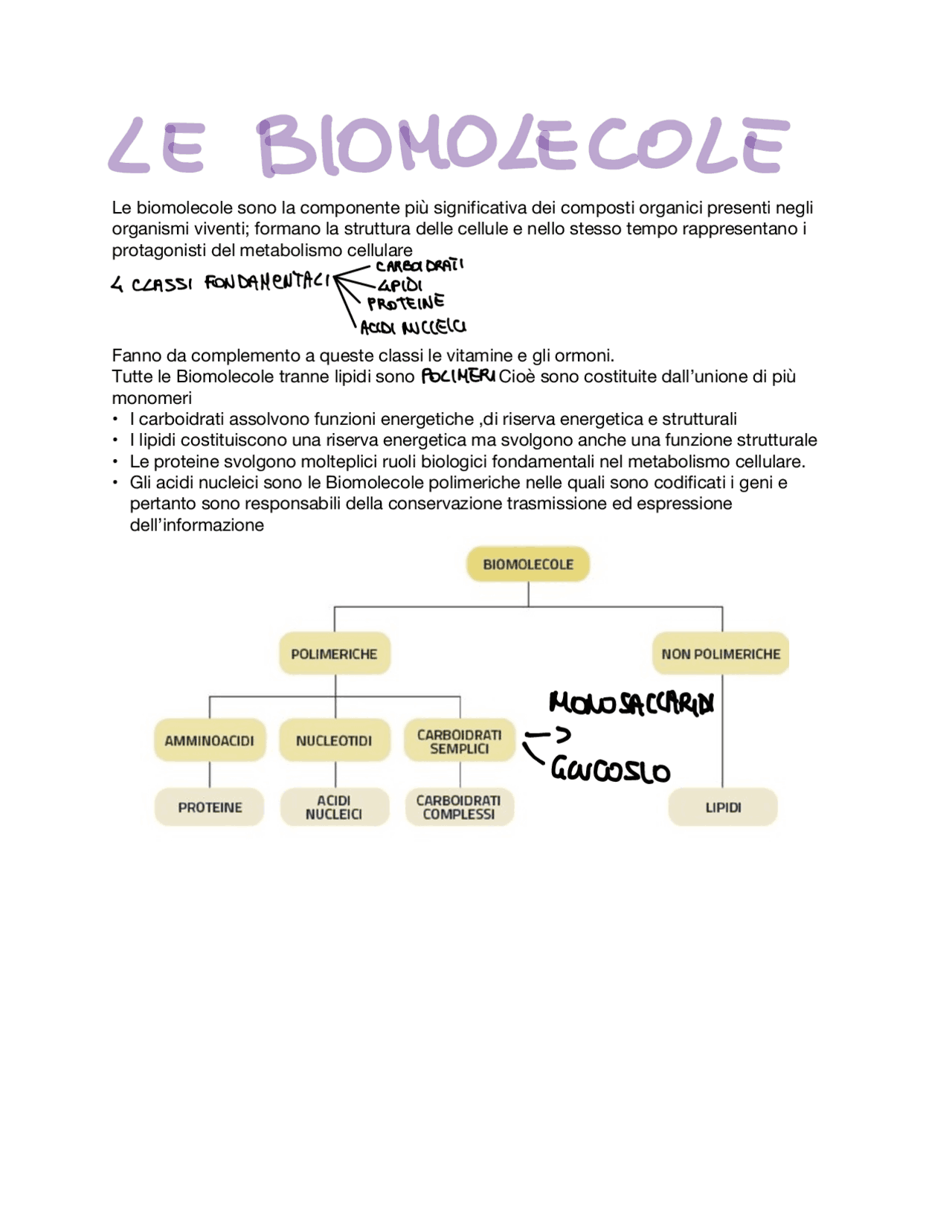 Appunti Sulle Biomolecole Docsity