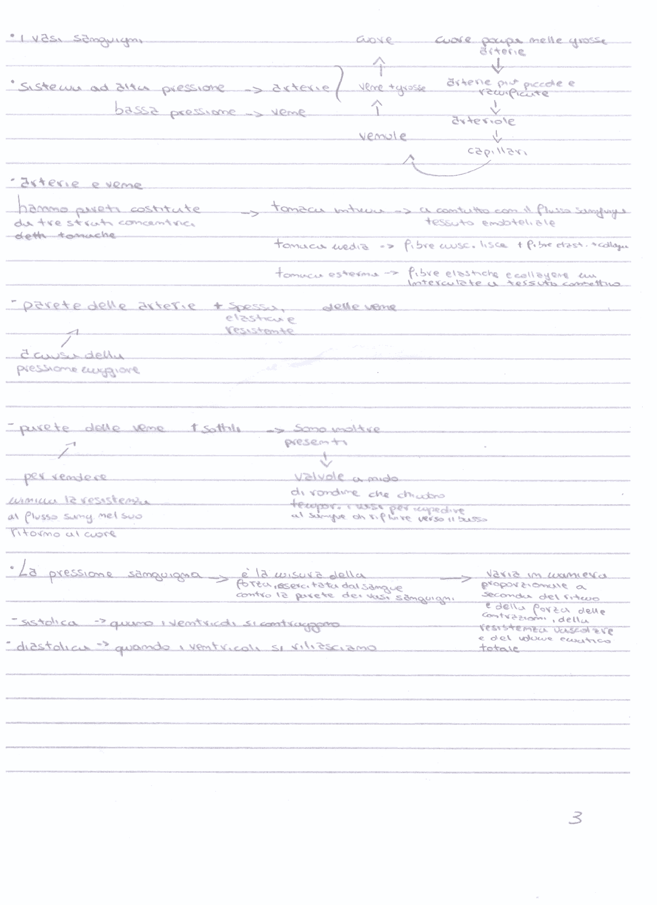 Il Sistema Cardiocircolatorio Pt5 Docsity