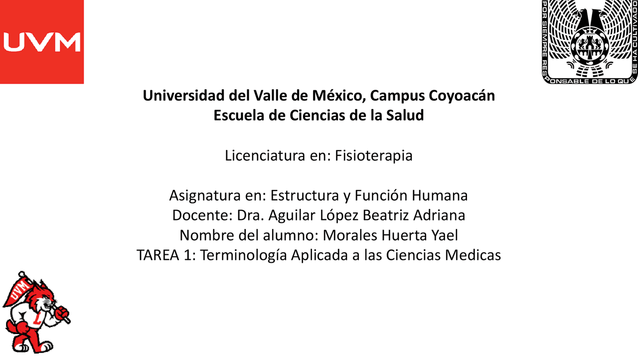 Actividad 1 De Dh Blackboard Apuntes De Desarrollo Humano Docsity
