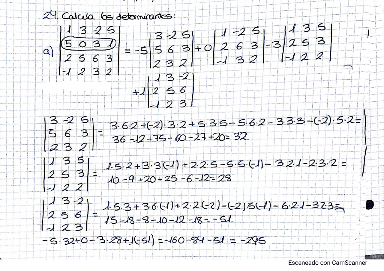 Ejercicios Determinantes Docsity