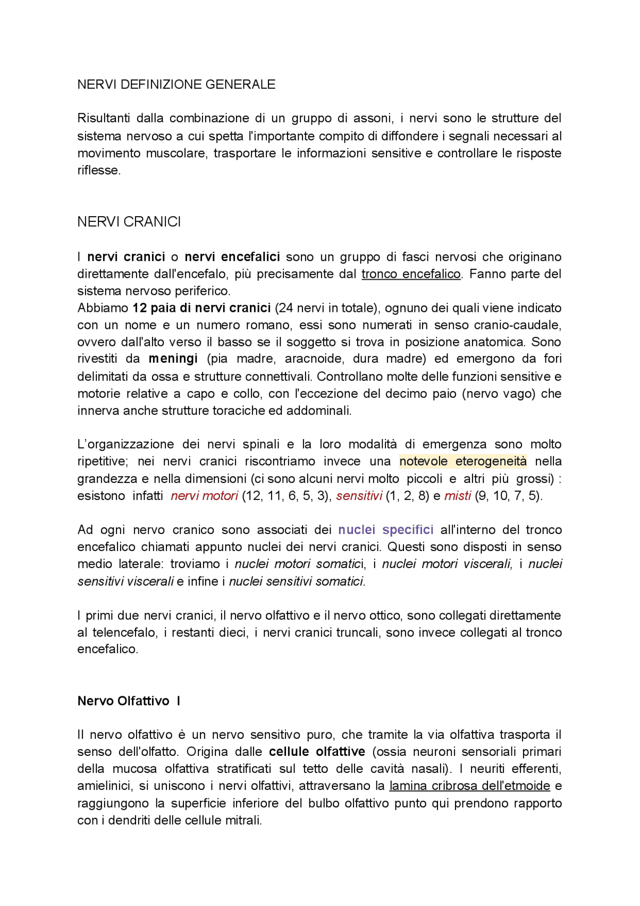 Neuroanatomia Schema Nervi Cranici Appunti Di Neuroanatomia Docsity
