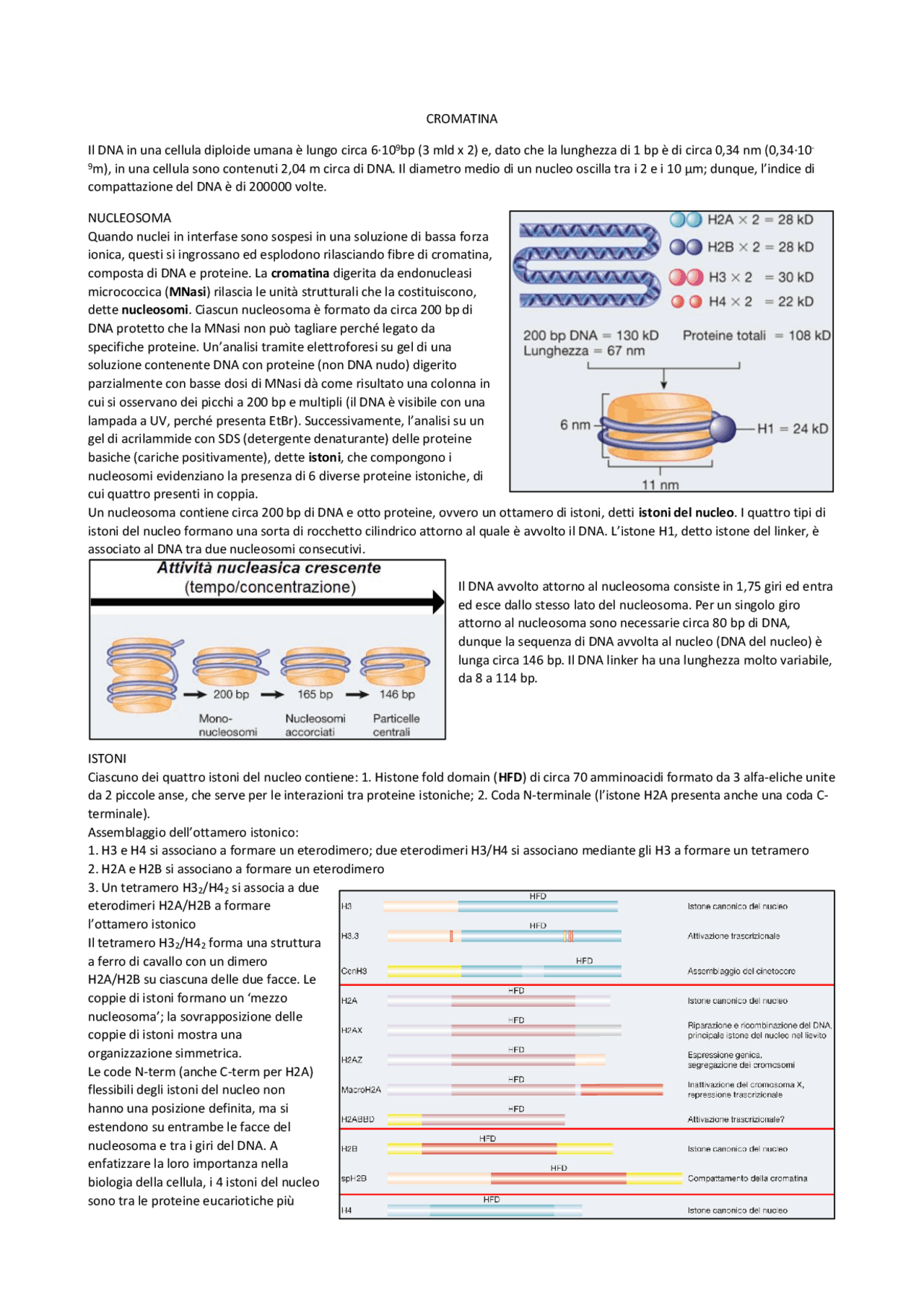 Appunti Di Biologia Molecolare Modulo 2 Docsity