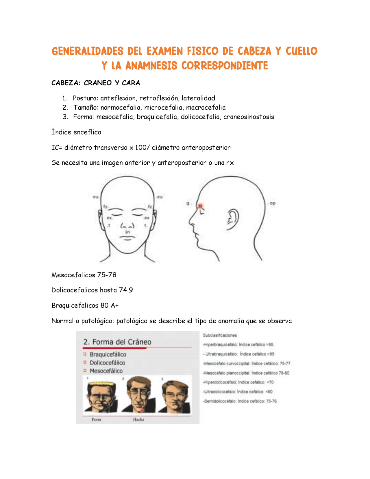Examen Fisico Segmentario Puc Enfermeria Deals | innoem.eng.psu.ac.th