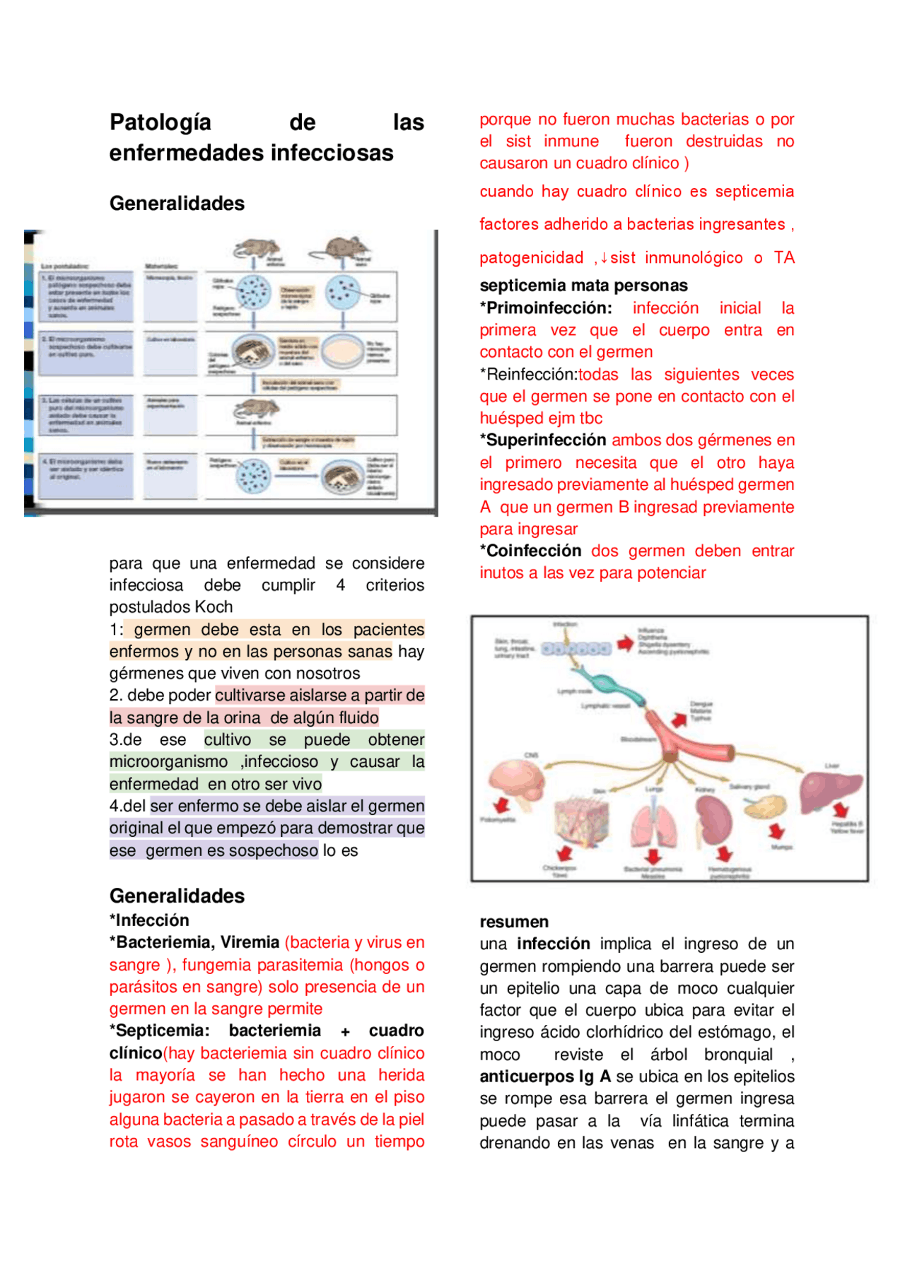 Patologia De Las Enfermedades Infecciosas Docsity