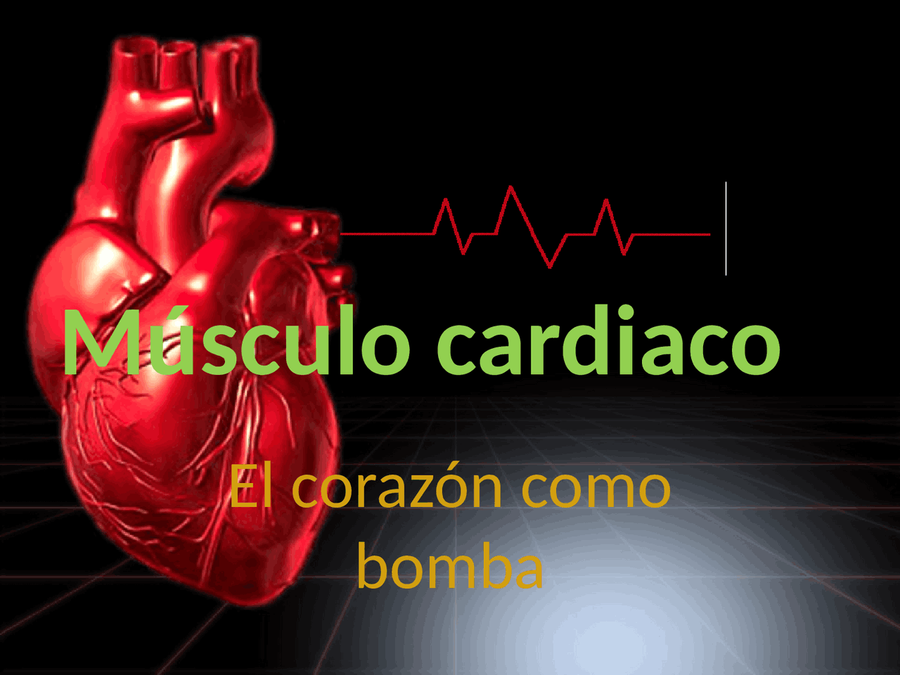 Corazón como bomba diapositivas - Docsity