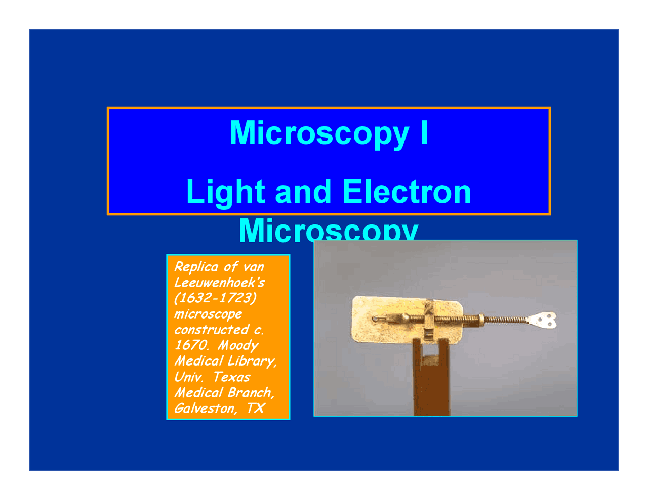 Light And Electron Microscopy Docsity