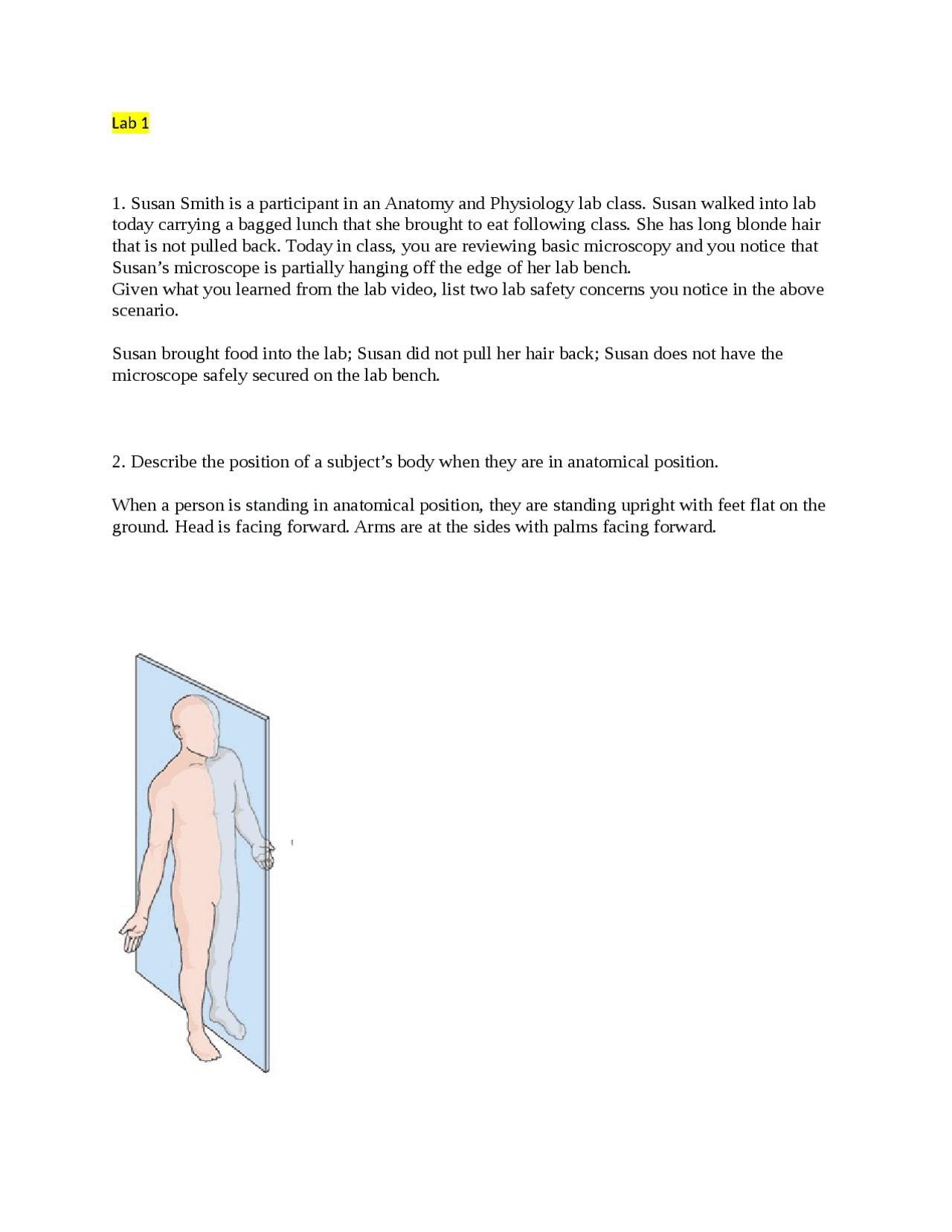 Alllabexams Questions With Answers Exams Nursing Docsity