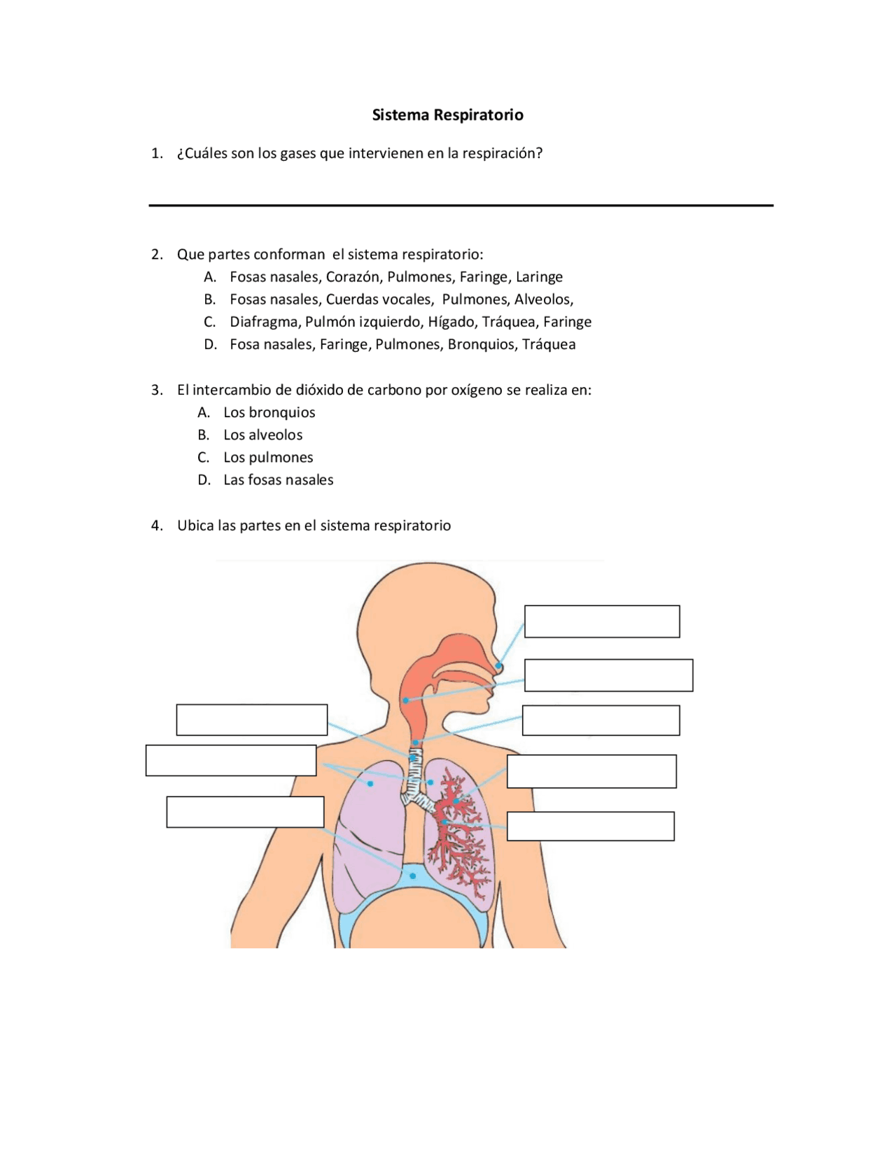 SISTEMAS DEL CUERPO HUMANO - Docsity