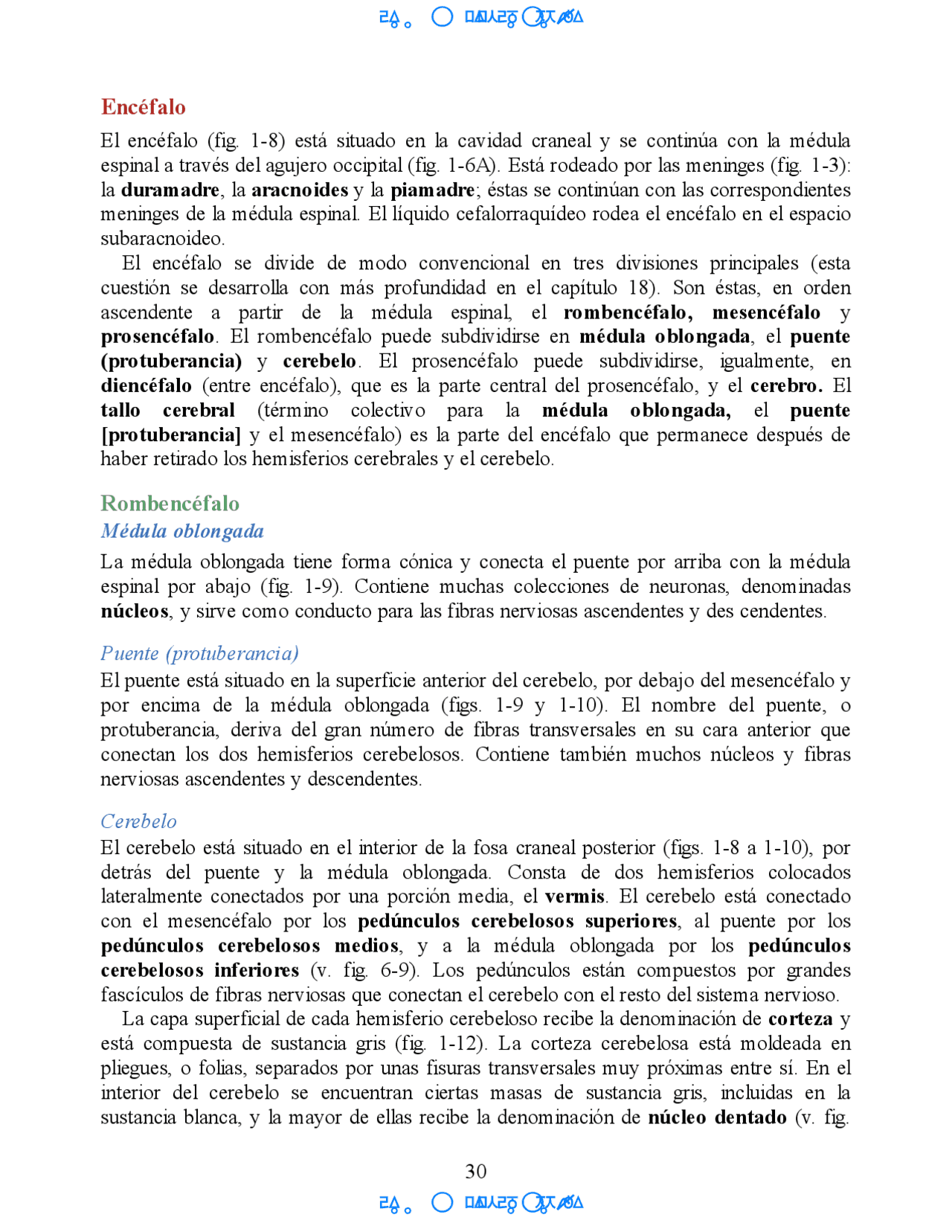 EncÉfalo NeuroanatomÍa Snell Docsity
