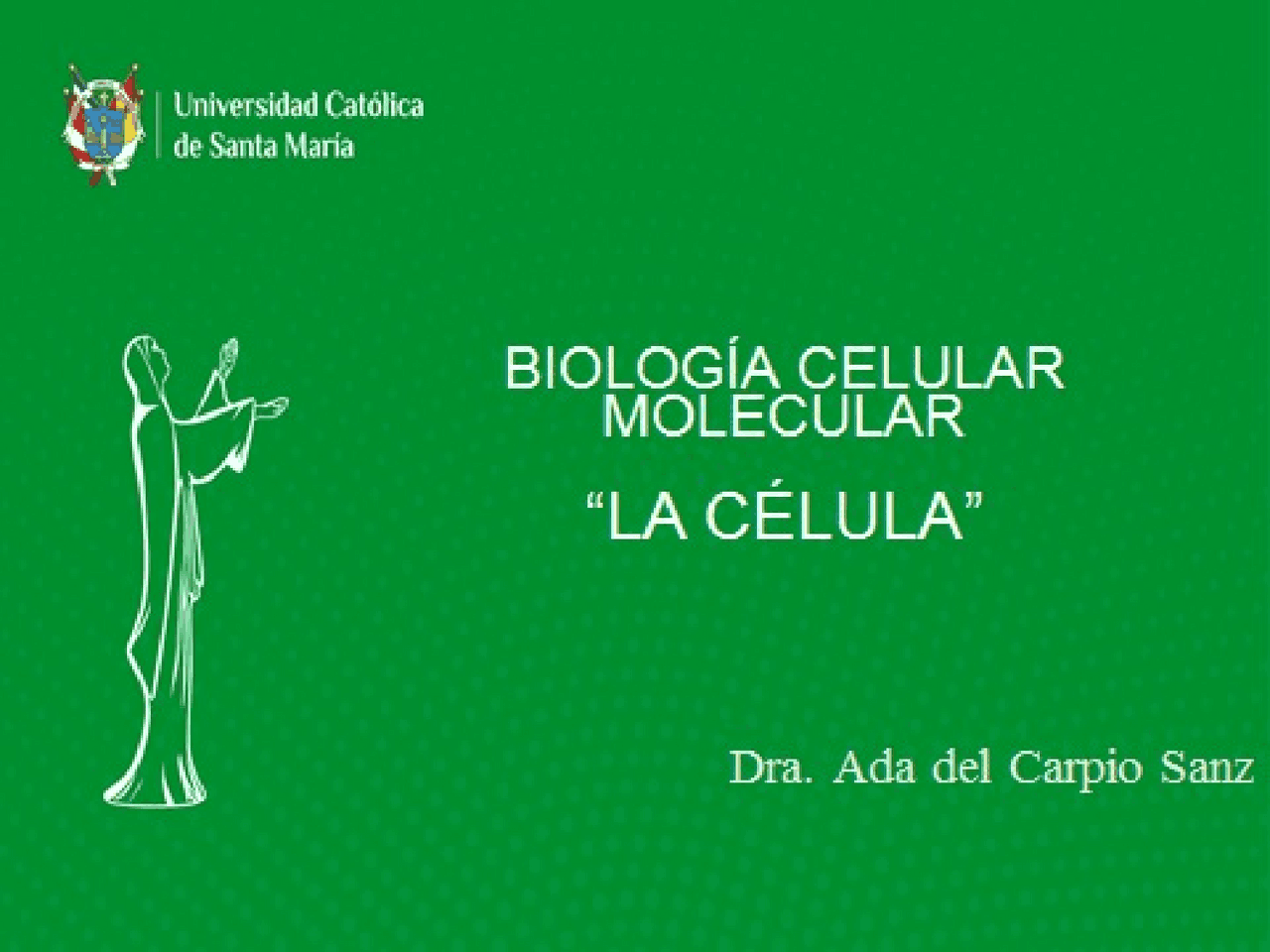 Membrana Plasmatica Diapositivas Docsity