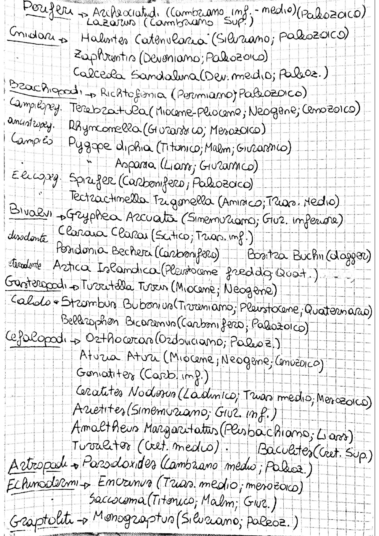 Fossili guida suddivisi per phylum - Docsity