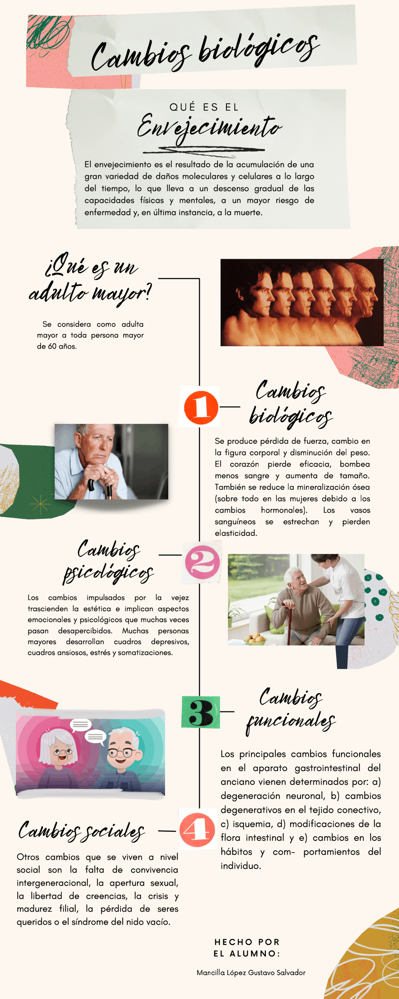 Infografía de los cambios en la vejez | Esquemas y mapas conceptuales de Geriatría - Docsity